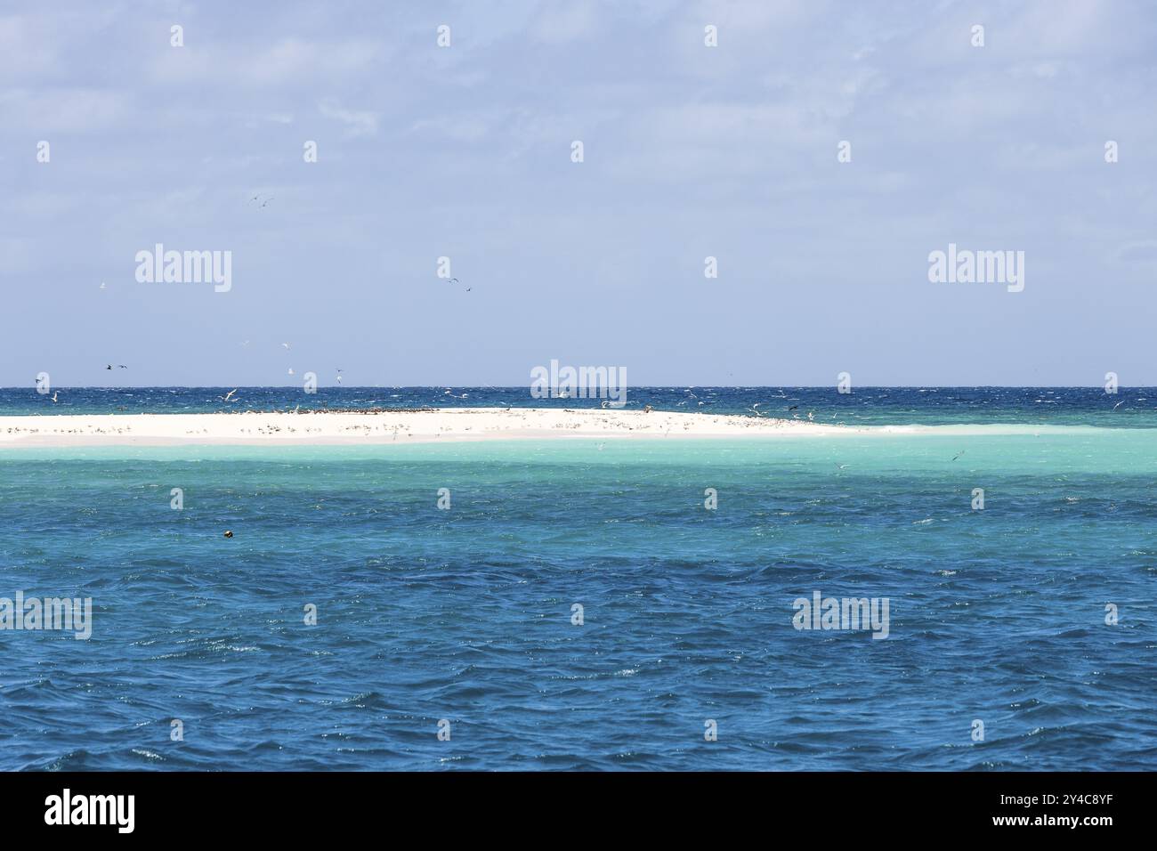 Great Barrier Reef, Michaelmas Cay National Park, 40 km north-east of ...