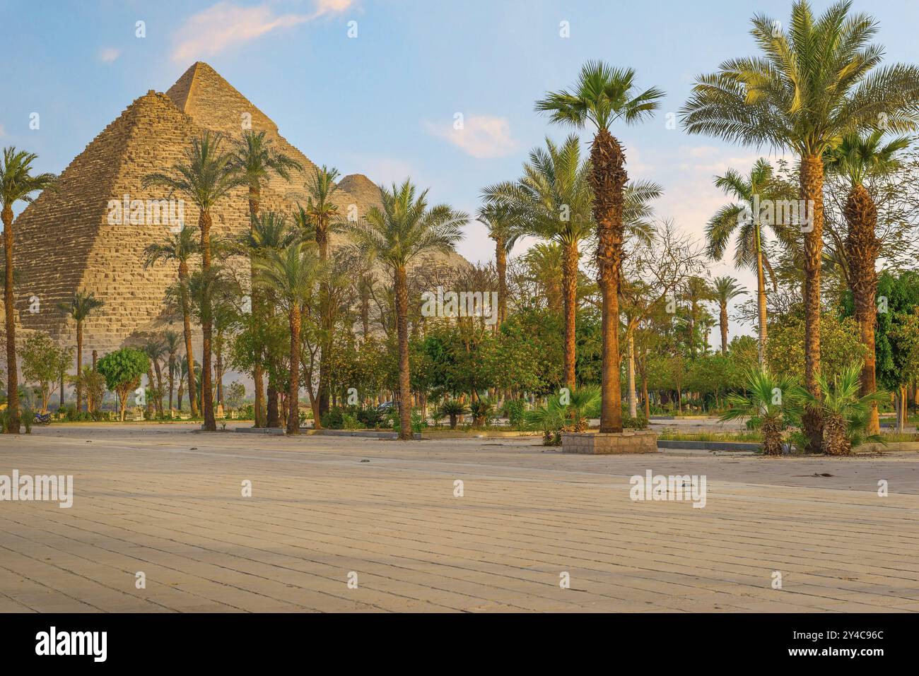 Park with palm trees and the great pyramids in Cairo, Egypt, Africa ...