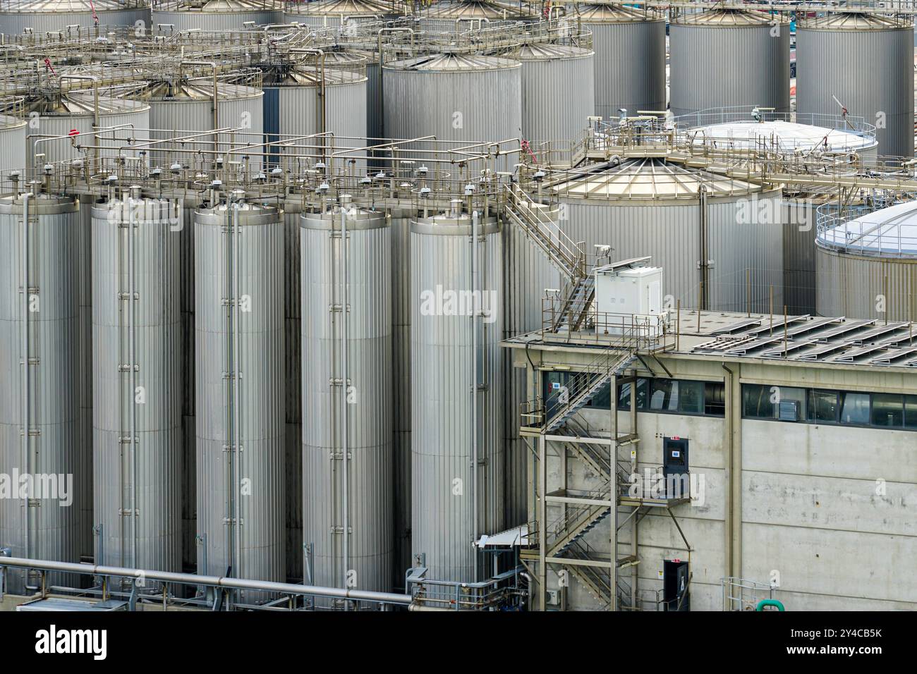 Many tanks in tank farm, big silos, tall metal tanks, multiple steel ...