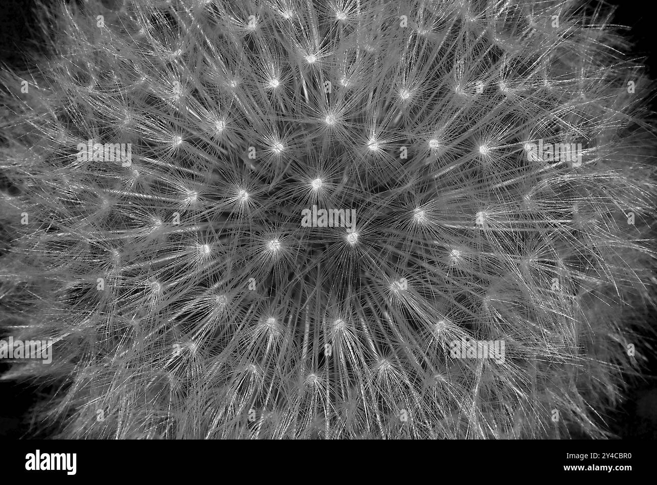 Top view shot open Black and White Stock Photos & Images - Alamy