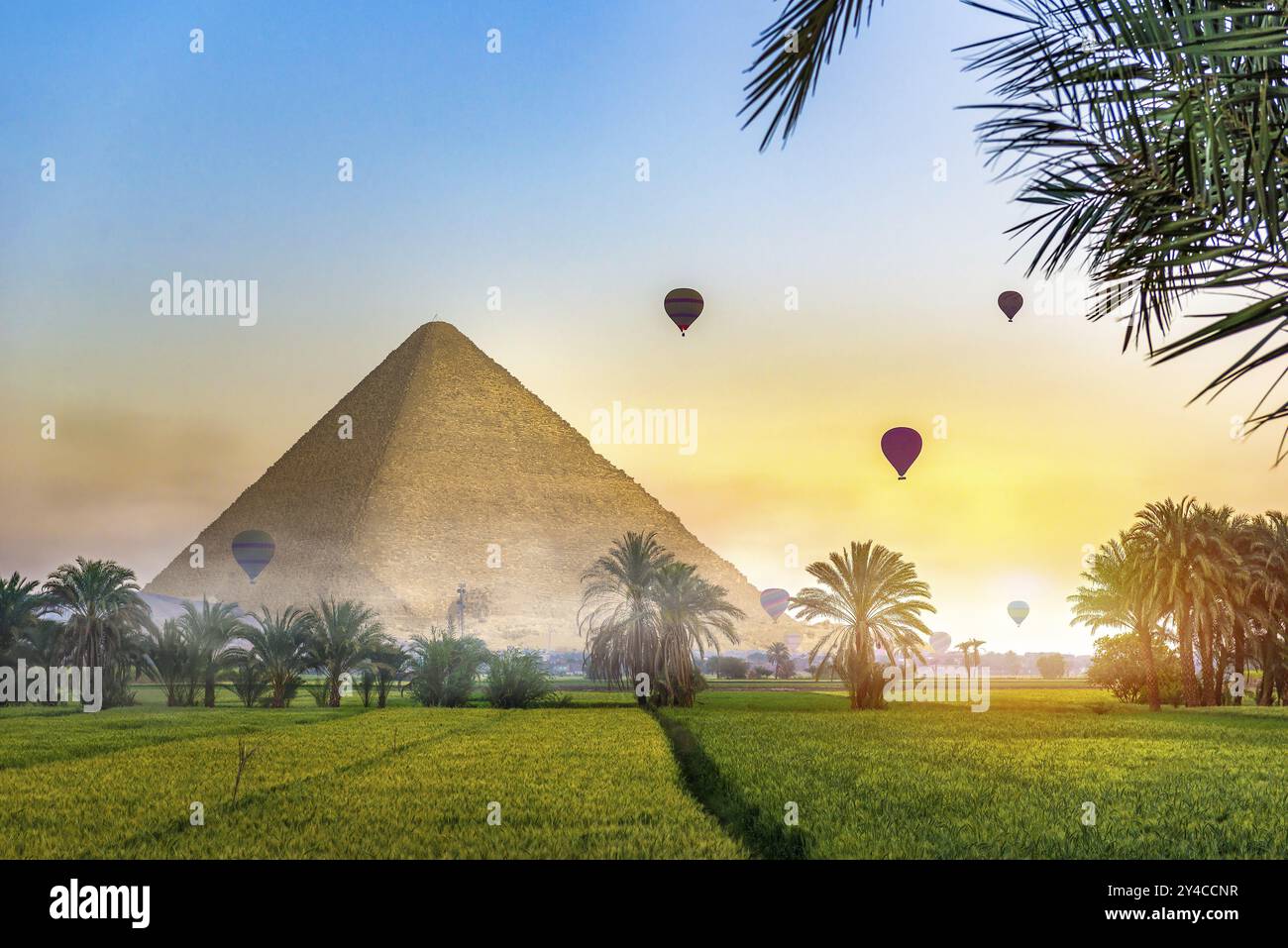 Air balloons over egyptian pyramid in green field at foggy morning ...