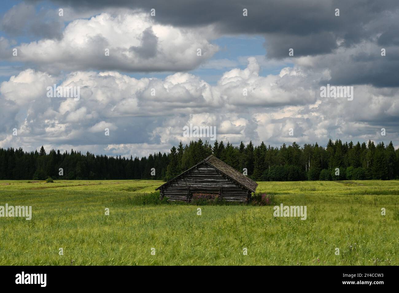 Landscape with a cabin in Lapland, Finland. Typical Finnish landscape ...