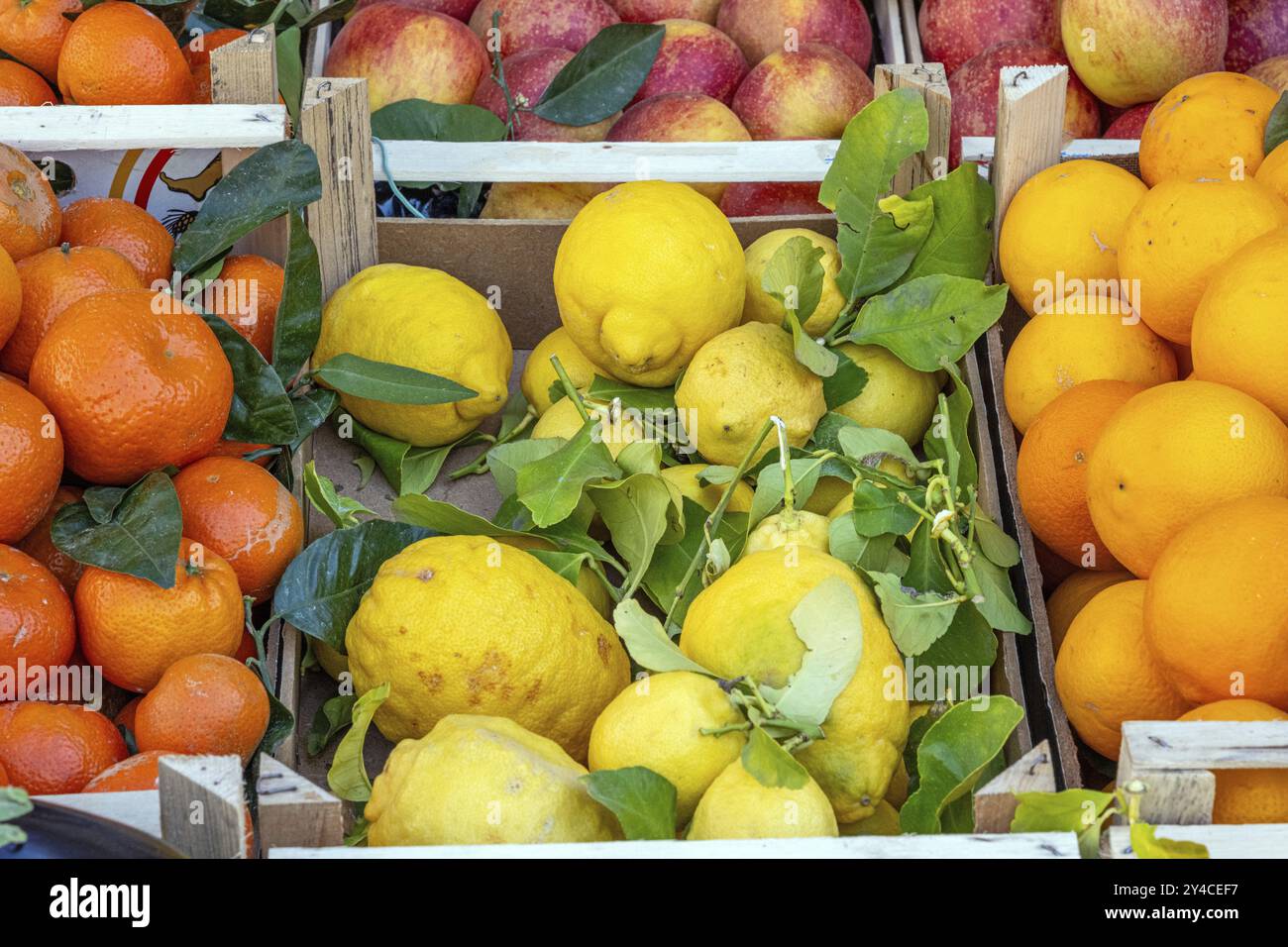 Citrus crates hi-res stock photography and images - Alamy