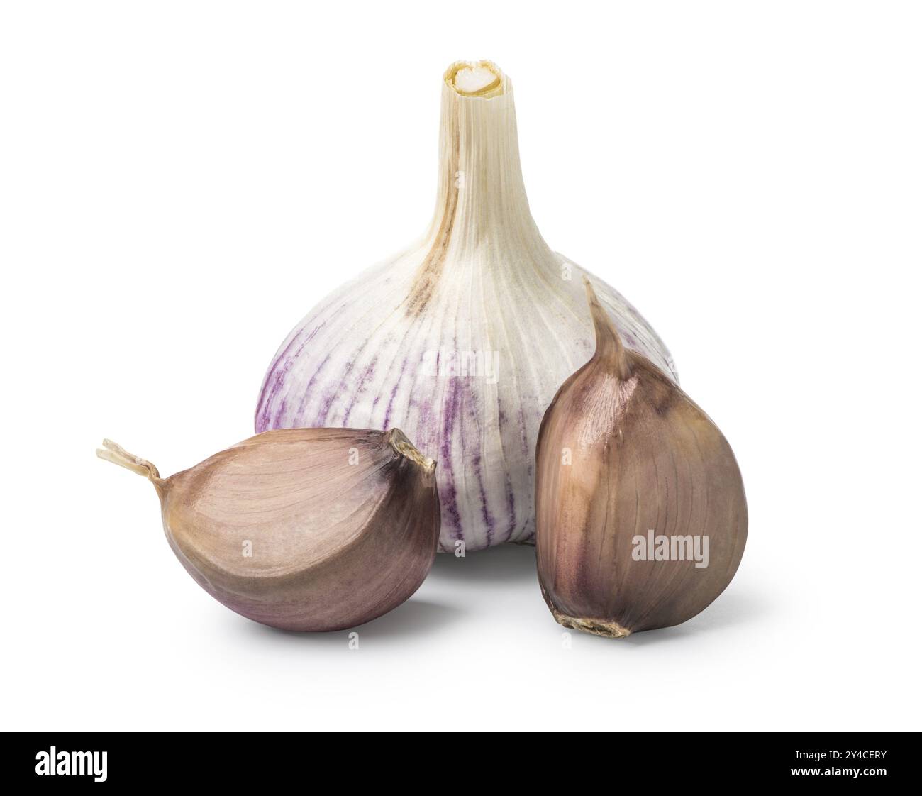 Head and cloves of garlic isolated on a white background Stock Photo ...