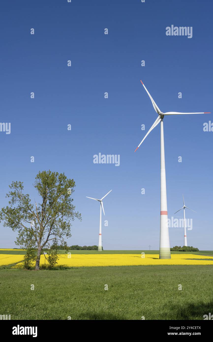 Wind turbines and a lone tree in rural Germany Stock Photo - Alamy