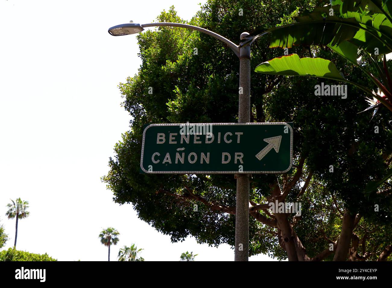 Beverly Hills, California: BENEDICT CANYON DR Street Sign Stock Photo ...