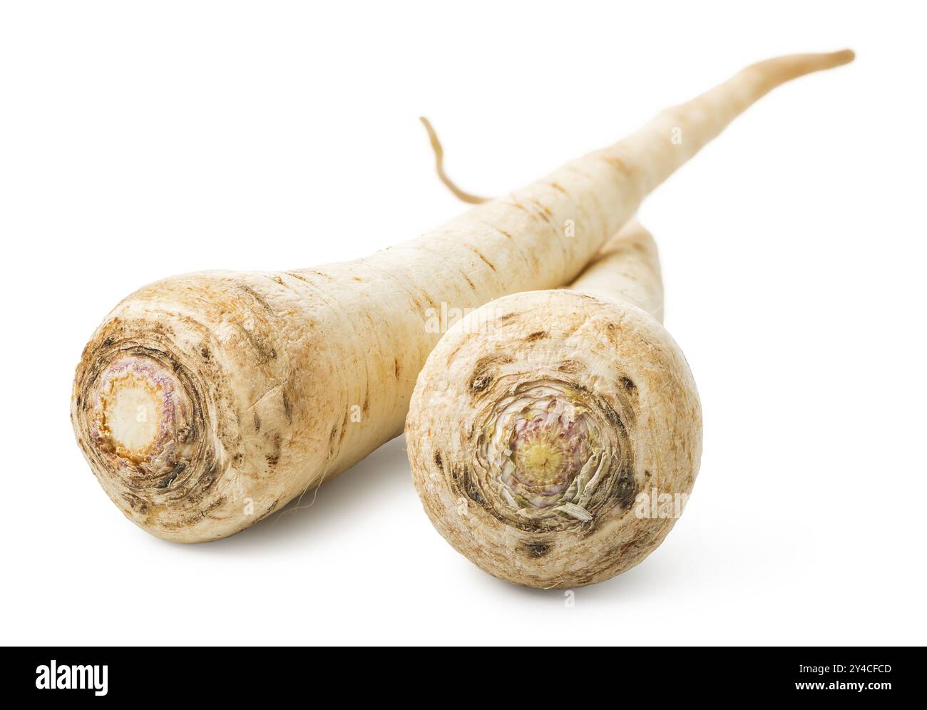 Parsley root close up isolated on a white background Stock Photo - Alamy