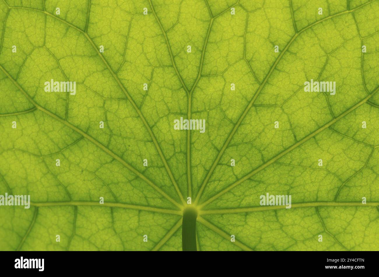 Bottom surfaces hi-res stock photography and images - Alamy