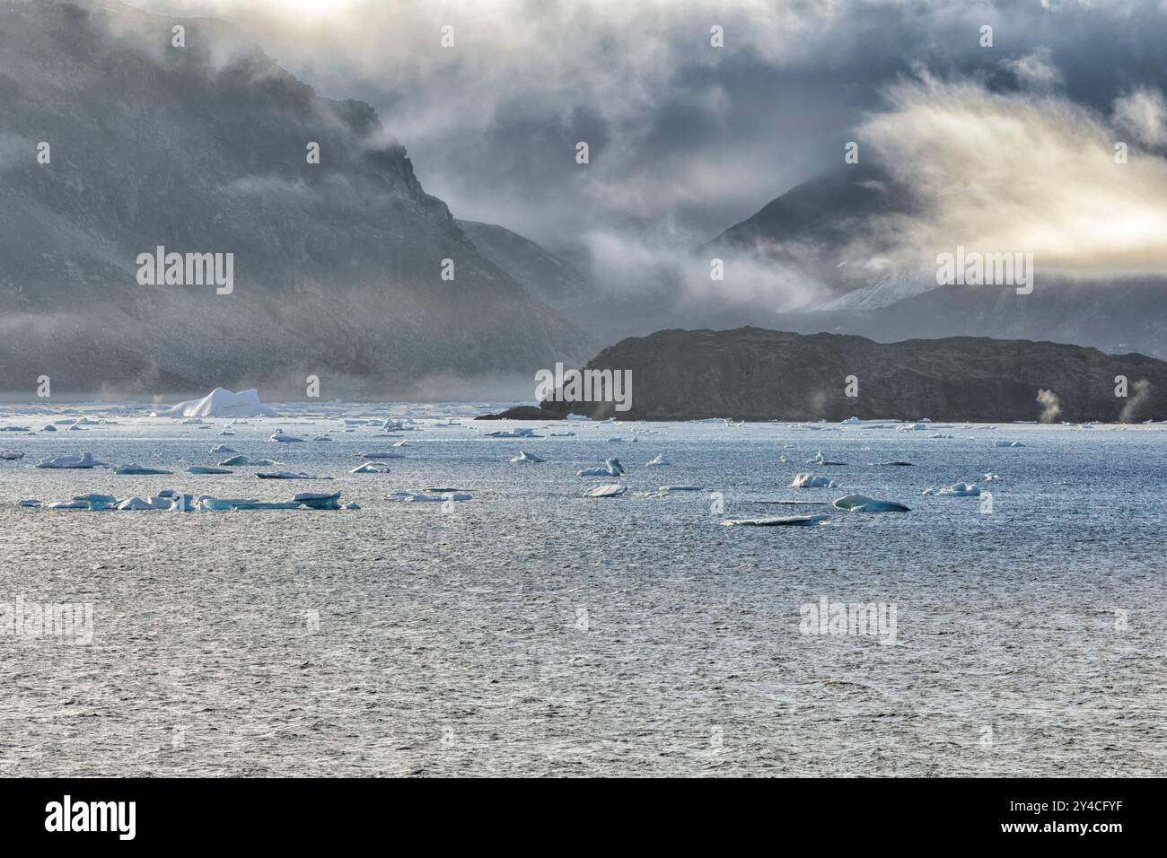 Morning mist and steep mountains, the fjord, covered with icebergs and ...