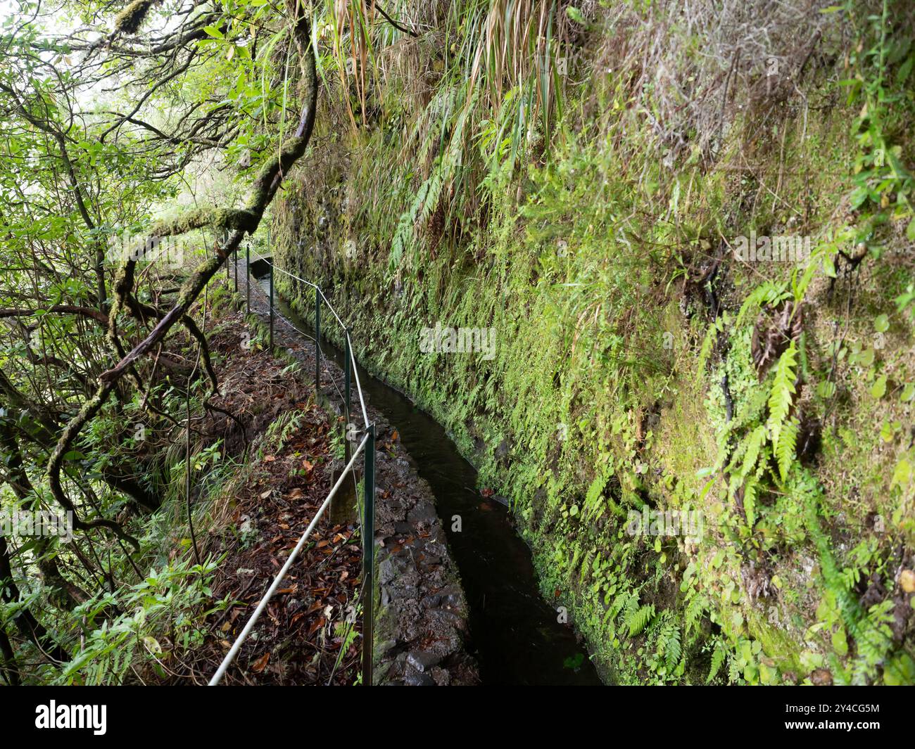 Levadas water irrigation channels hi-res stock photography and images ...