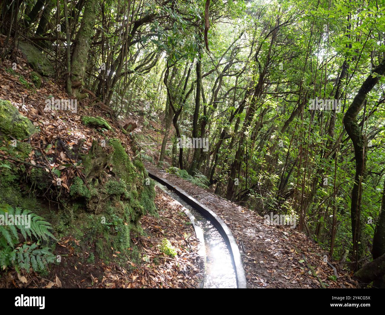 Levadas water irrigation channels hi-res stock photography and images ...