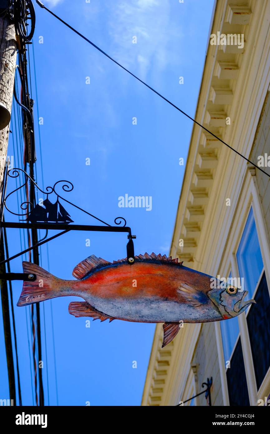 Street art fish, artful street signs, artistic markers picturing ...