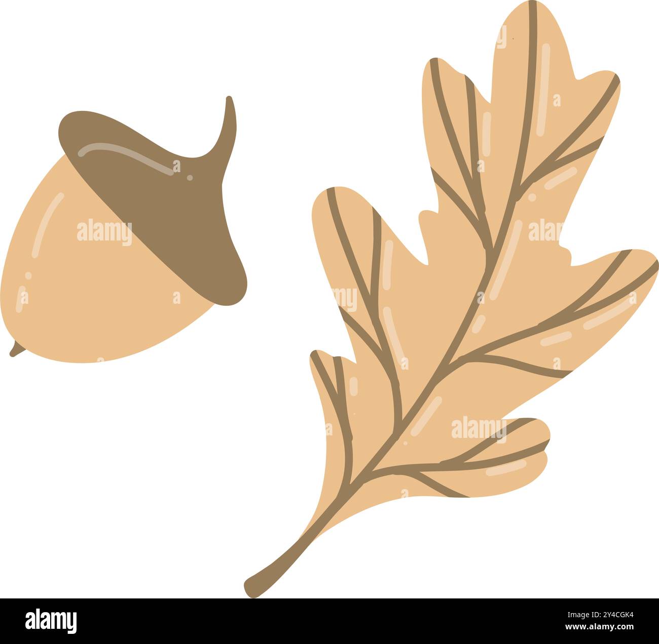Vector illustration of an acorn and oak leaf in flat style. Elements ...