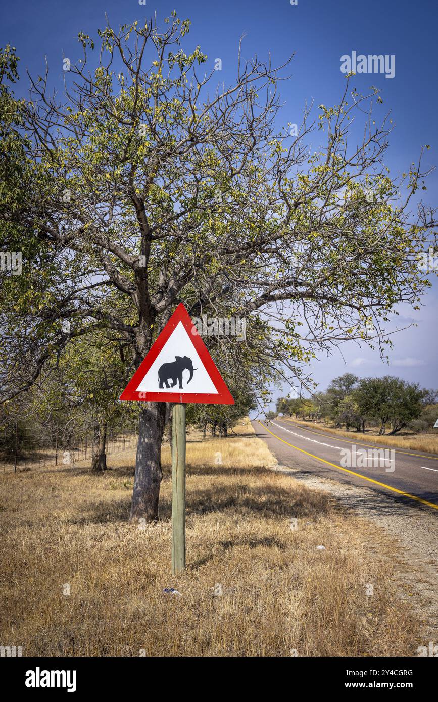 Warning sign Caution elephants on African elephant road, Balule Plains ...