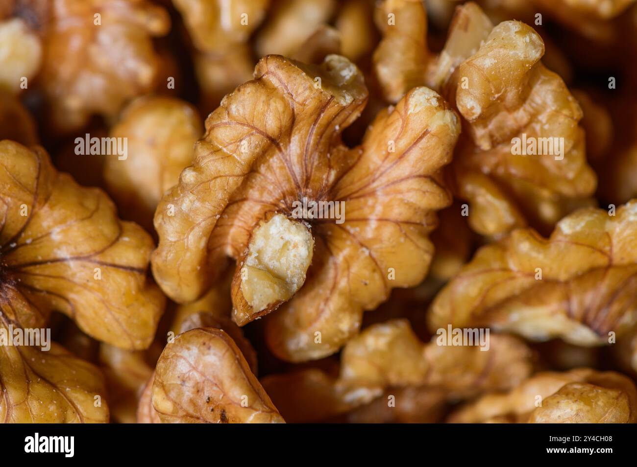 raw nut peeled whole kernels of walnuts harvest Stock Photo - Alamy