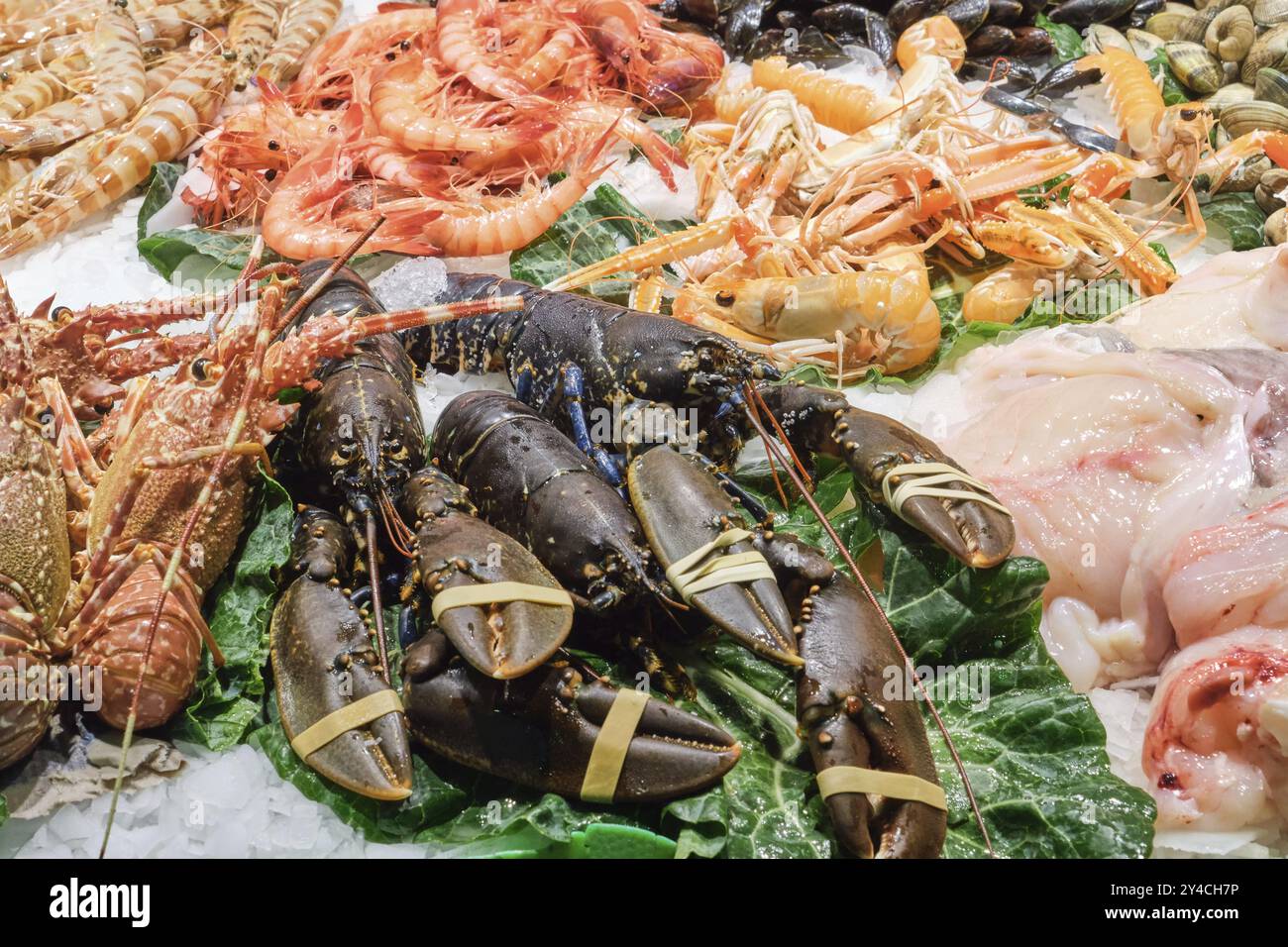 Types of shellfish hi-res stock photography and images - Alamy