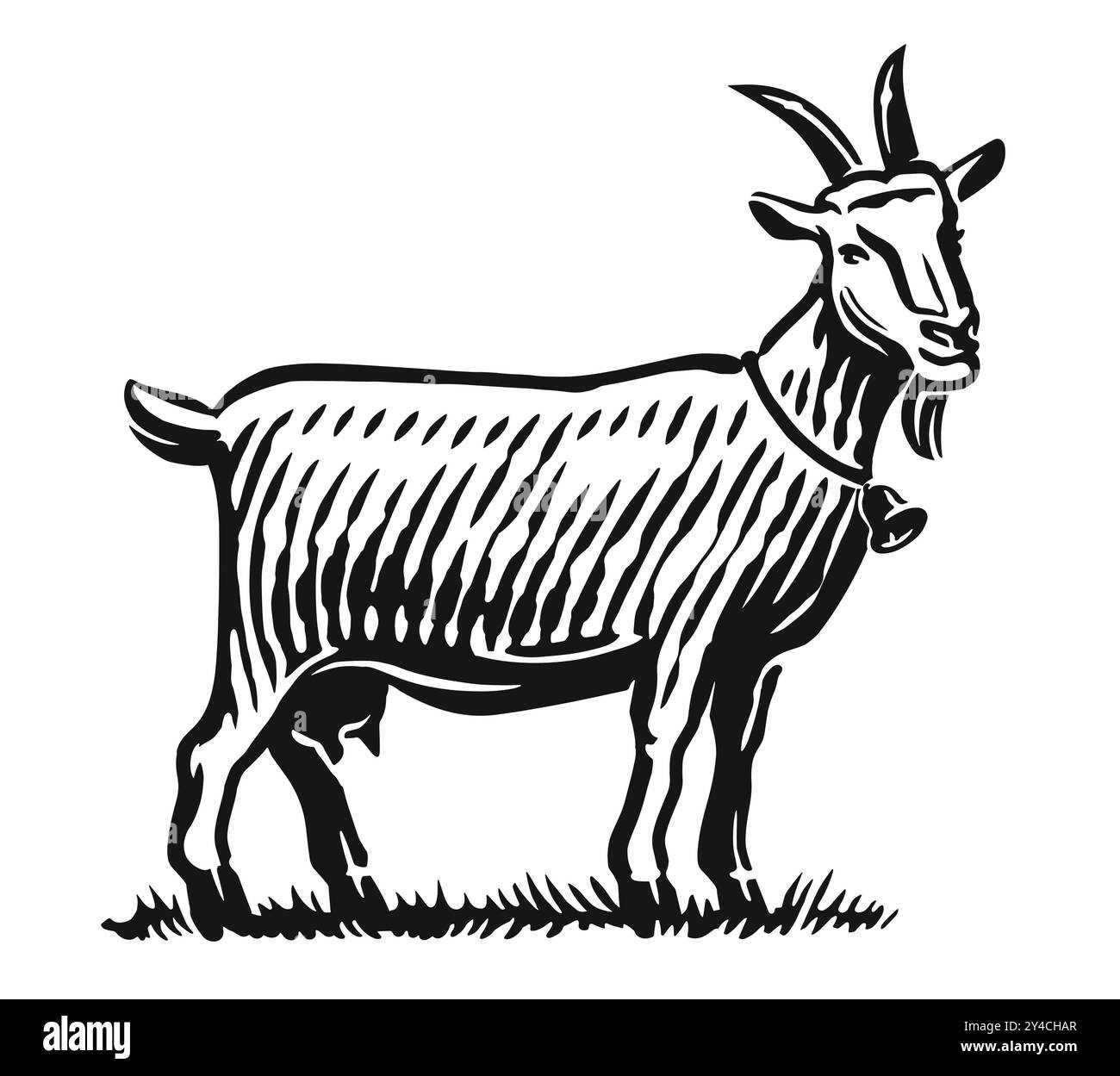 Goat stands at full height, farm animal. Hand drawn sketch style vector illustration Stock ...