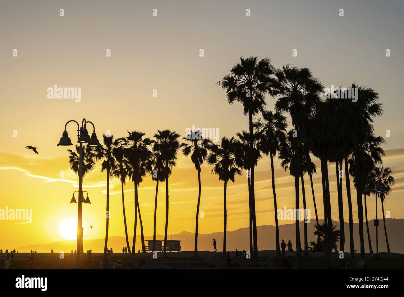 Venice Beach in Los Angeles in front of sunset Stock Photo - Alamy