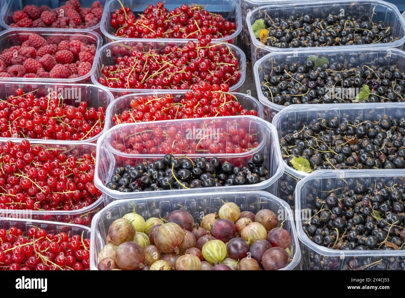 Different types of red and blue berries for sale at a market Stock ...