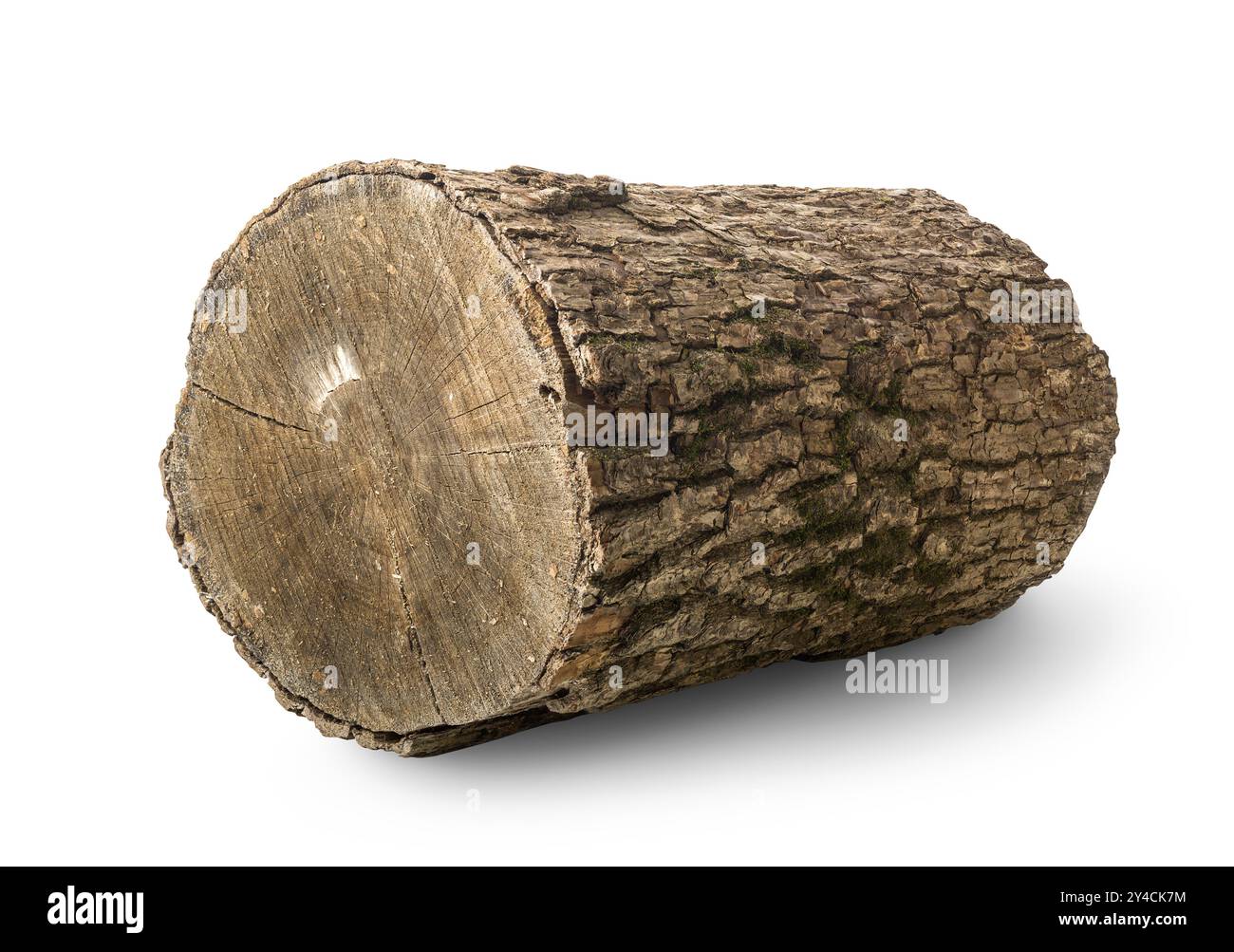 Pine log isolated on a white background Stock Photo - Alamy