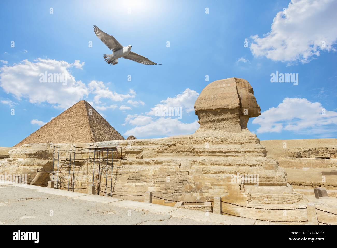 Bird over Pyramid and Sphinx in the desert of Giza, Egypt, Africa Stock ...