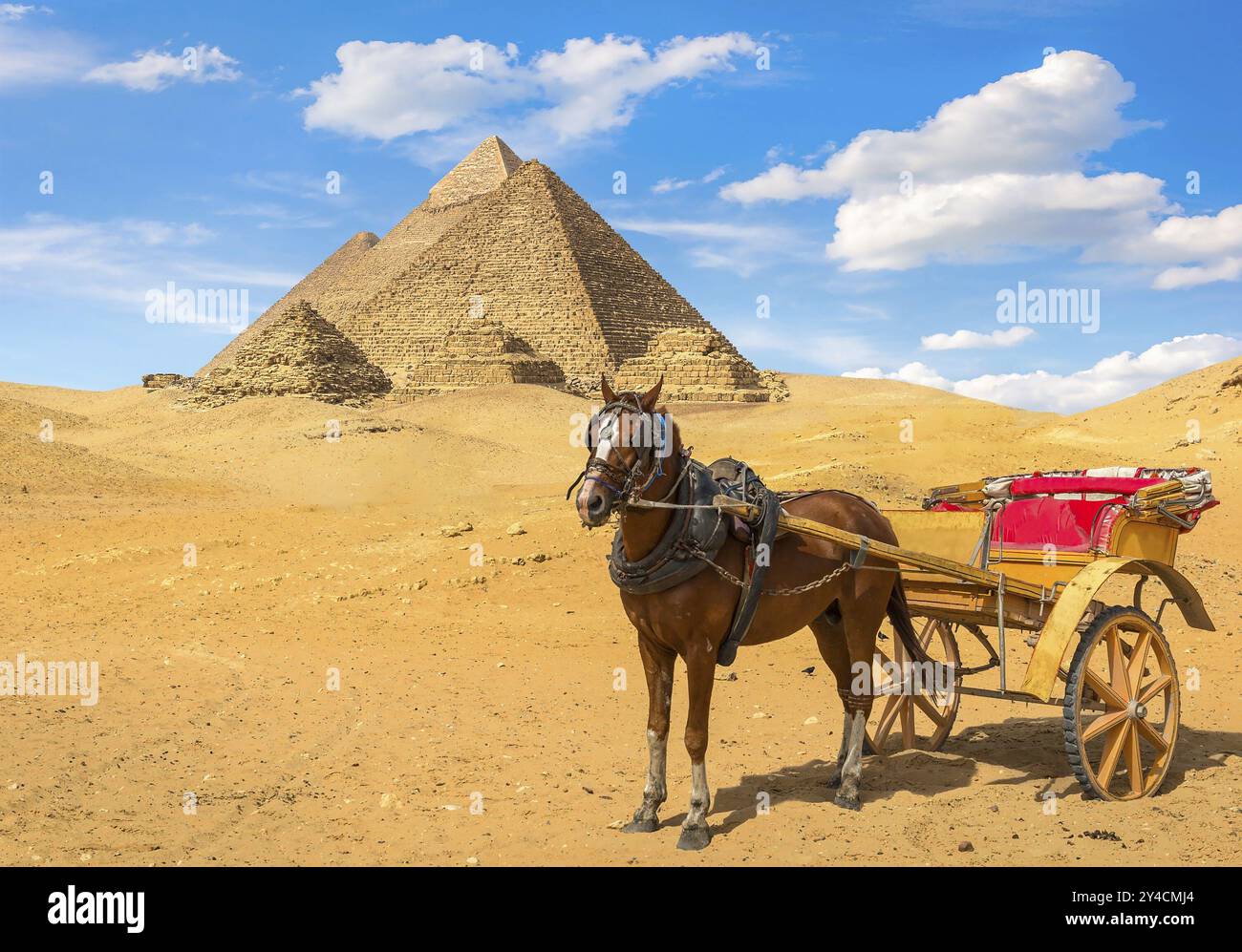 Horse wit carriage near great pyramids in Giza desert, Egypt, Africa ...
