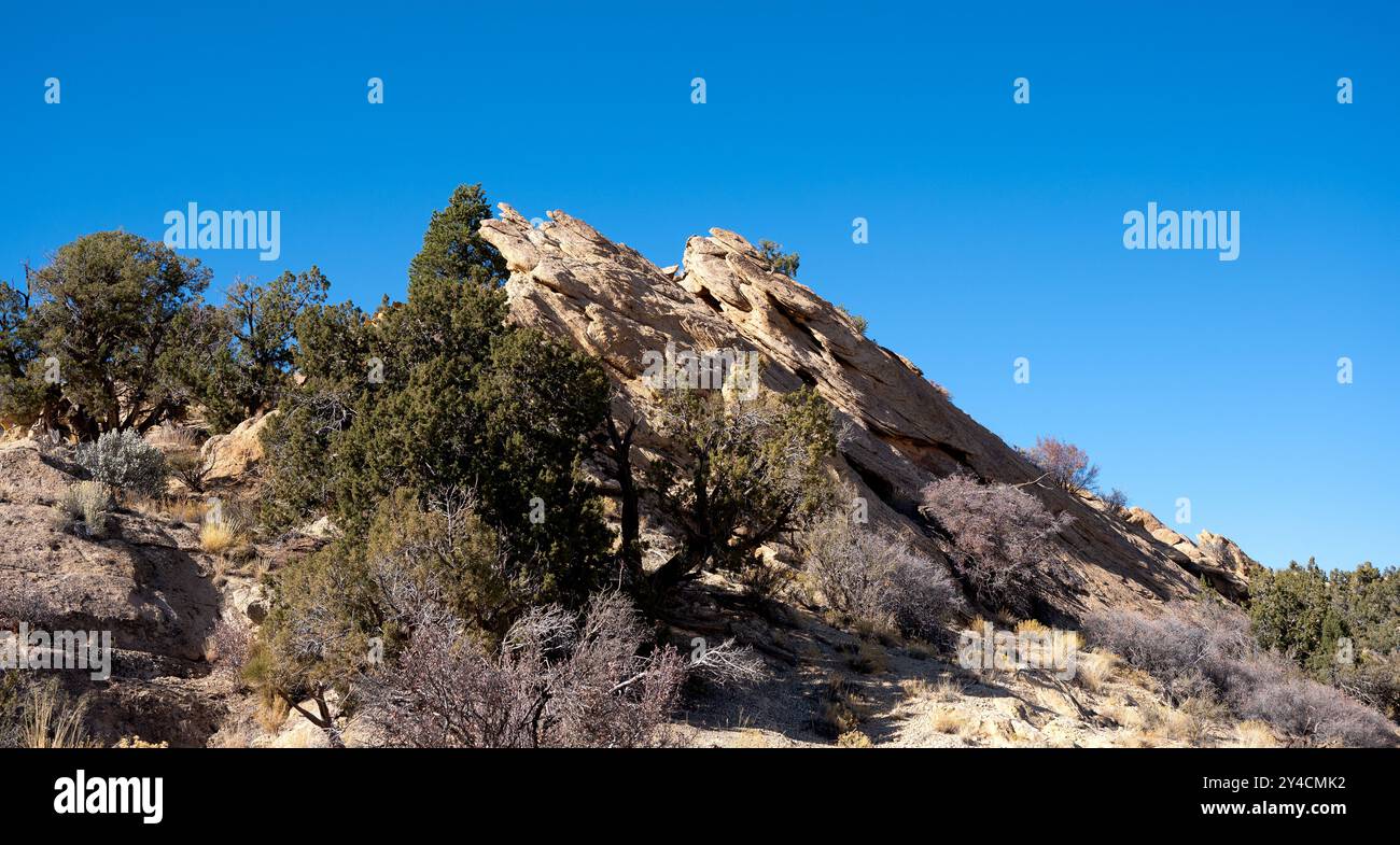 A small thrust fault on the Notom-Bullfrog Road through Capitol Reef ...