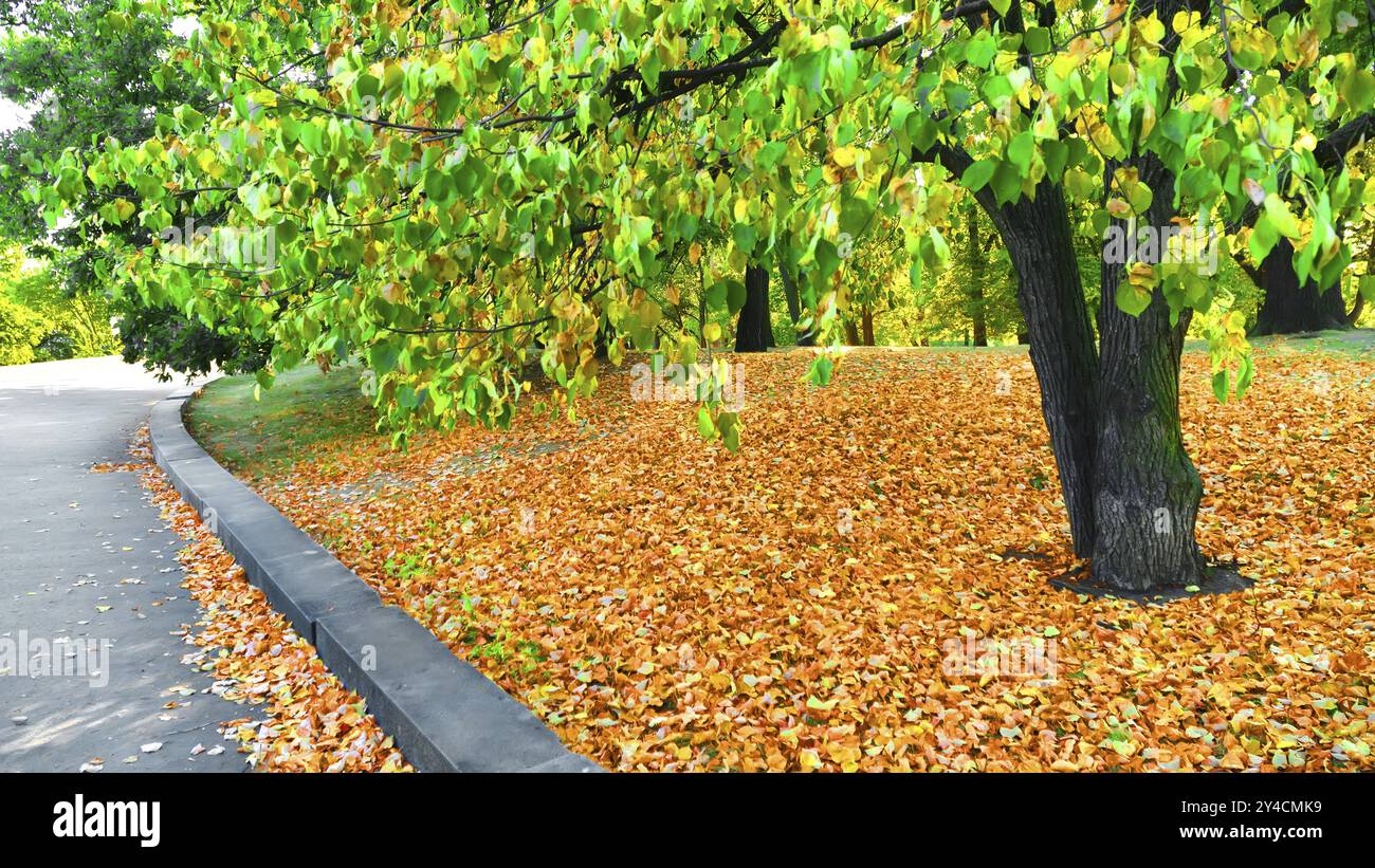 Fall colors in parks hi-res stock photography and images - Alamy