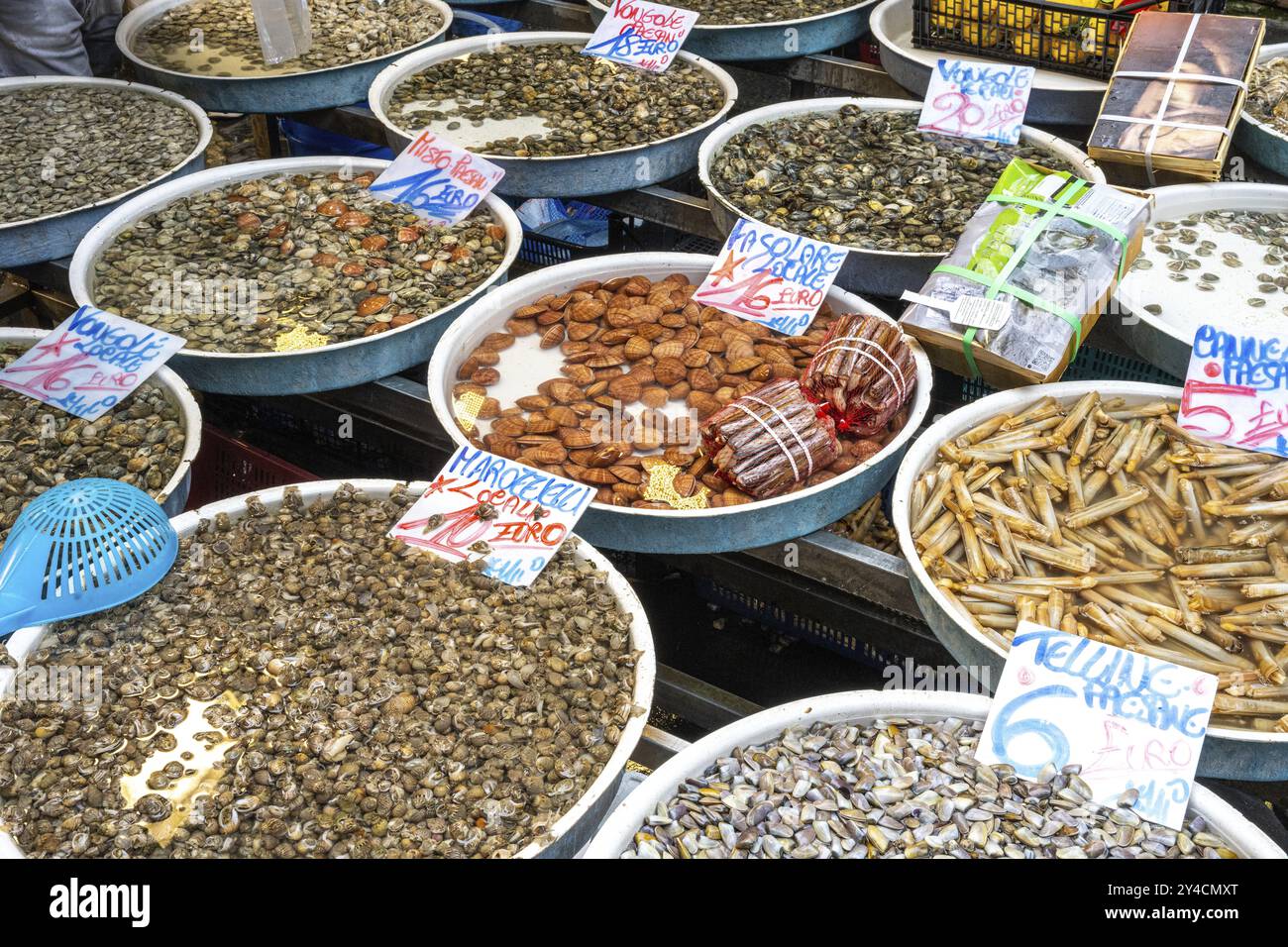 Different types of mussels for sale at a market in Naples, Italy ...