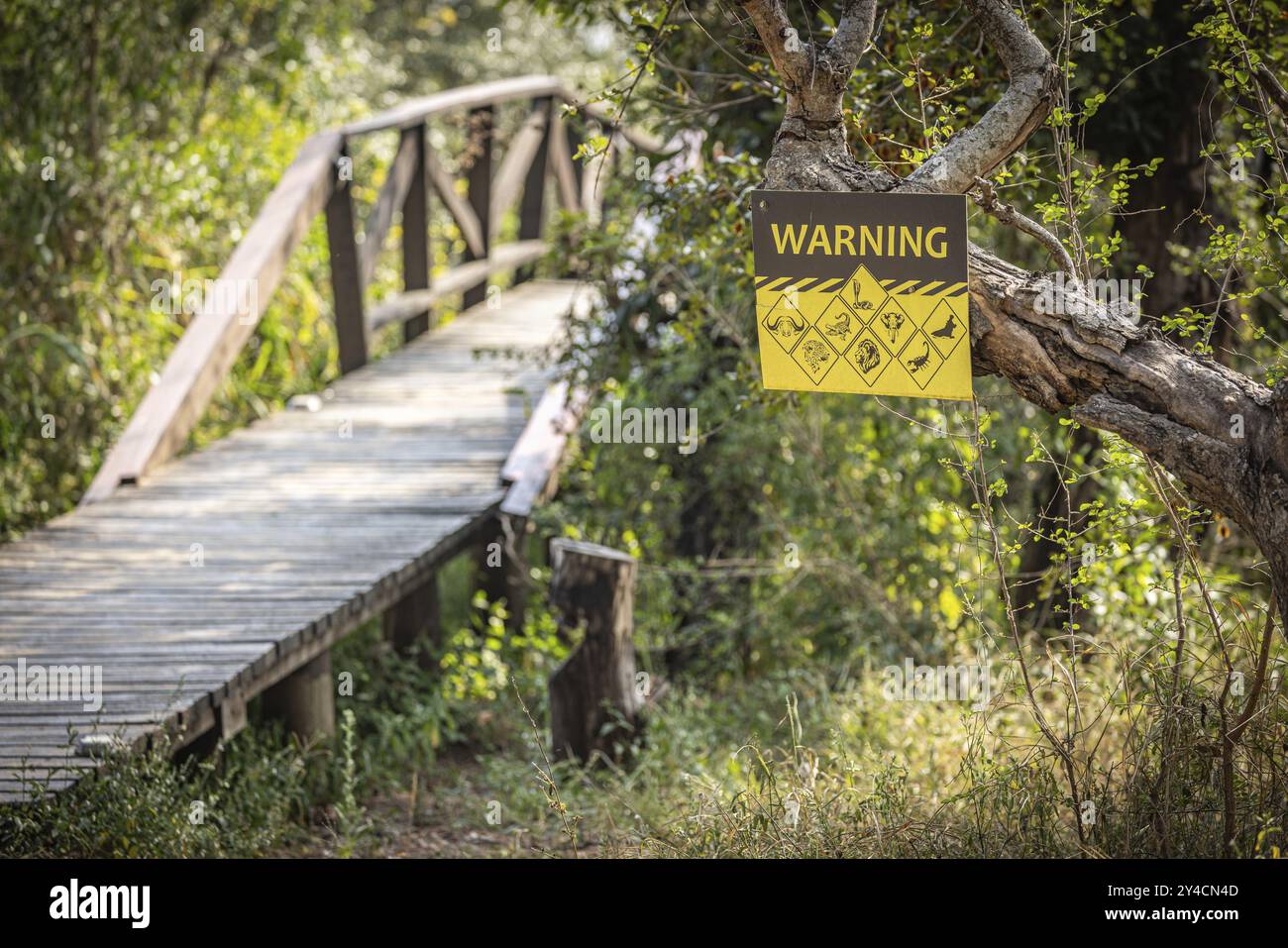 Wooden bridge in safari camp with warning sign for dangerous animals ...