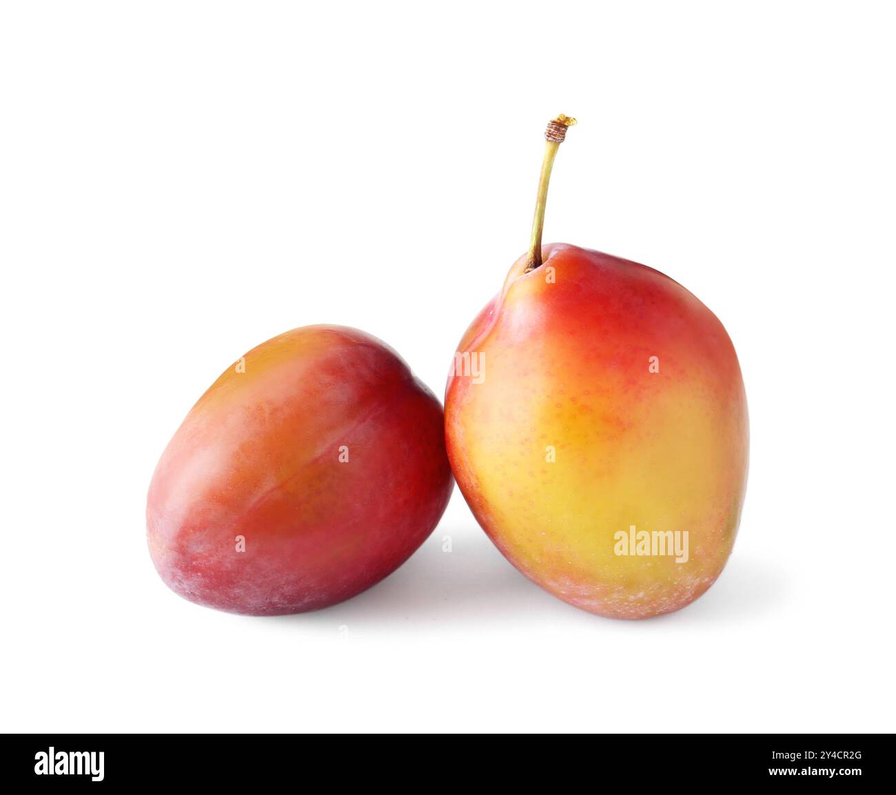 Two fresh ripe plums hi-res stock photography and images - Alamy
