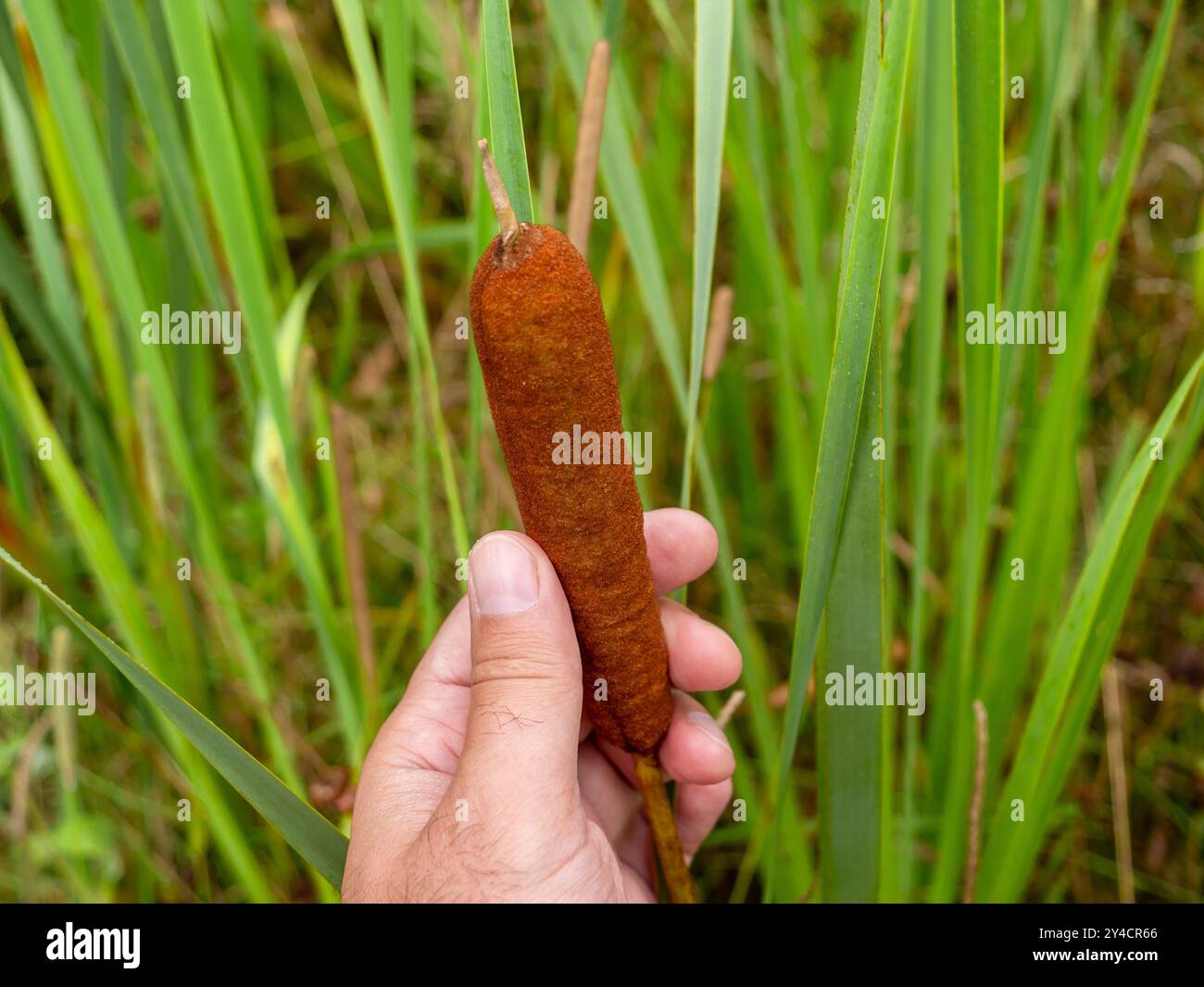 Linear water feature hi-res stock photography and images - Alamy