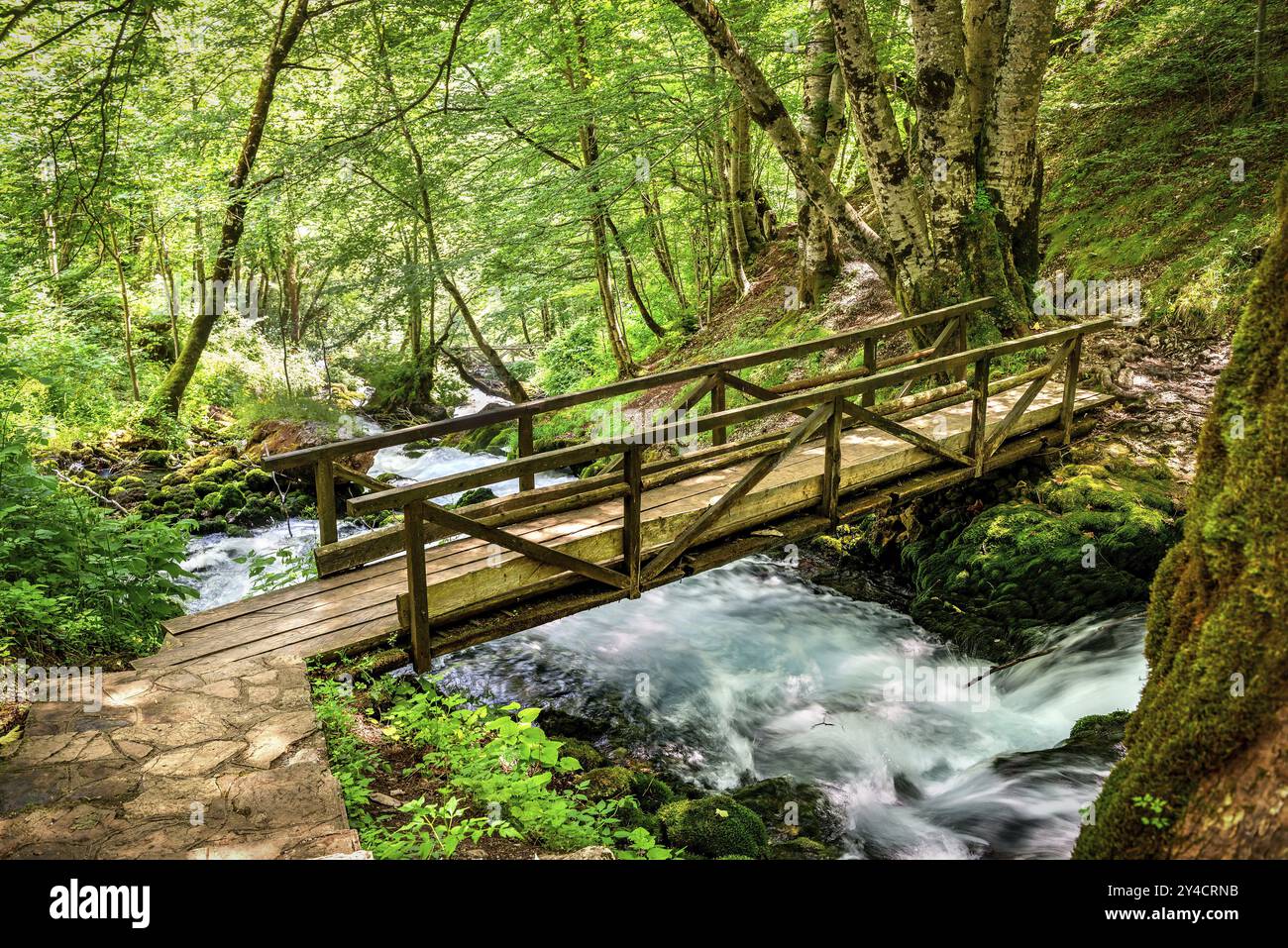 Small wooden bridge over river cascade in the forest of Montenegro ...