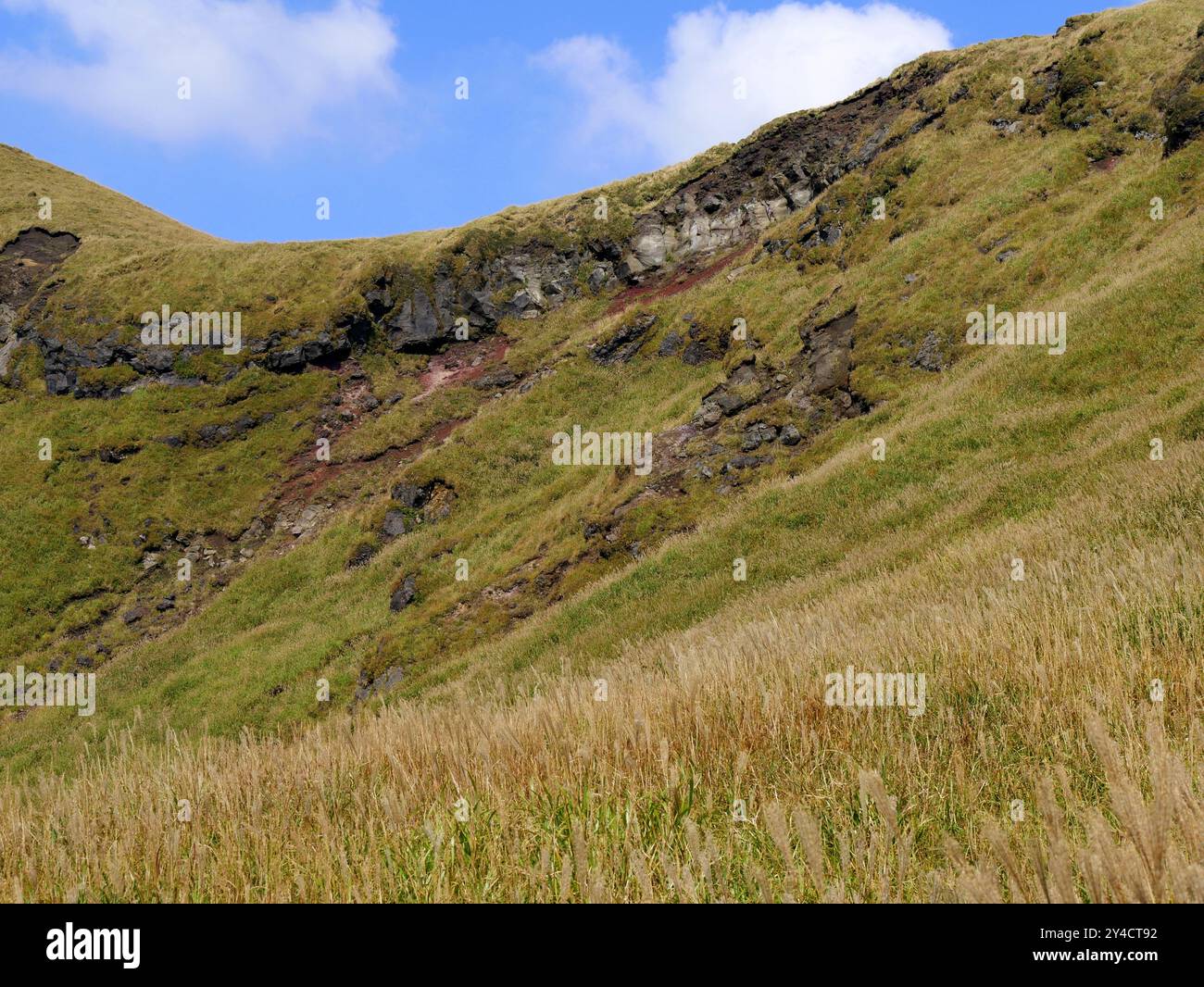 silver pampa grass in autumn on Kishima Dake volcano in Aso, Kyushu ...