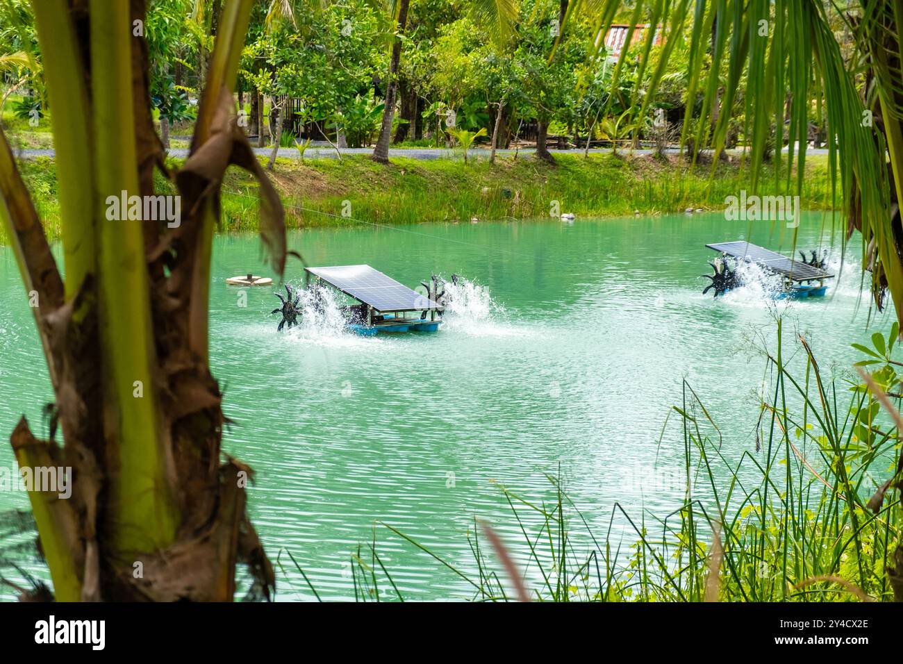 Solar panels mounted on floating platforms with paddle wheel aerators ...