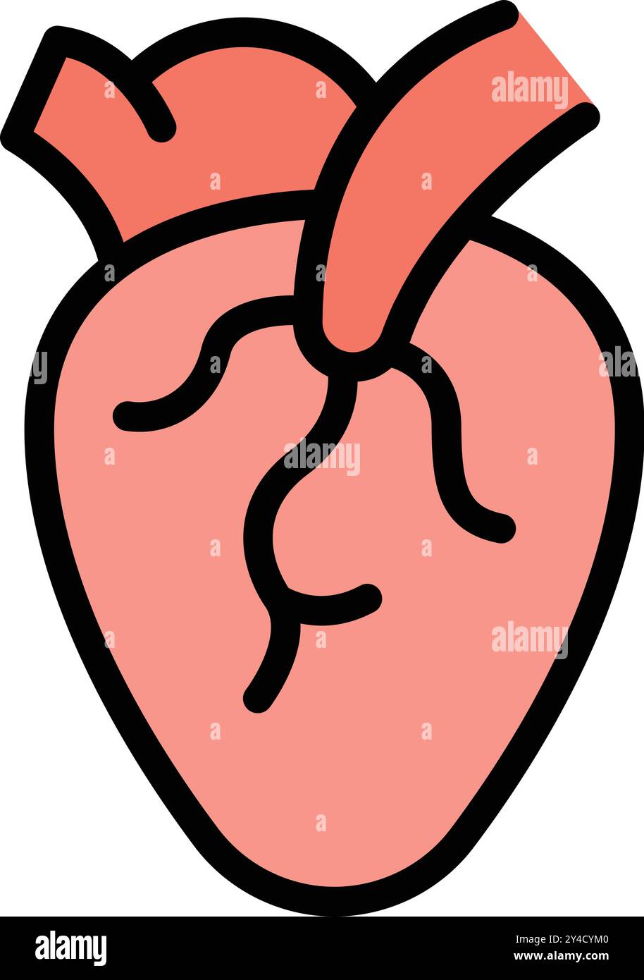 Human heart organ pumping blood through veins illustration Stock Vector ...