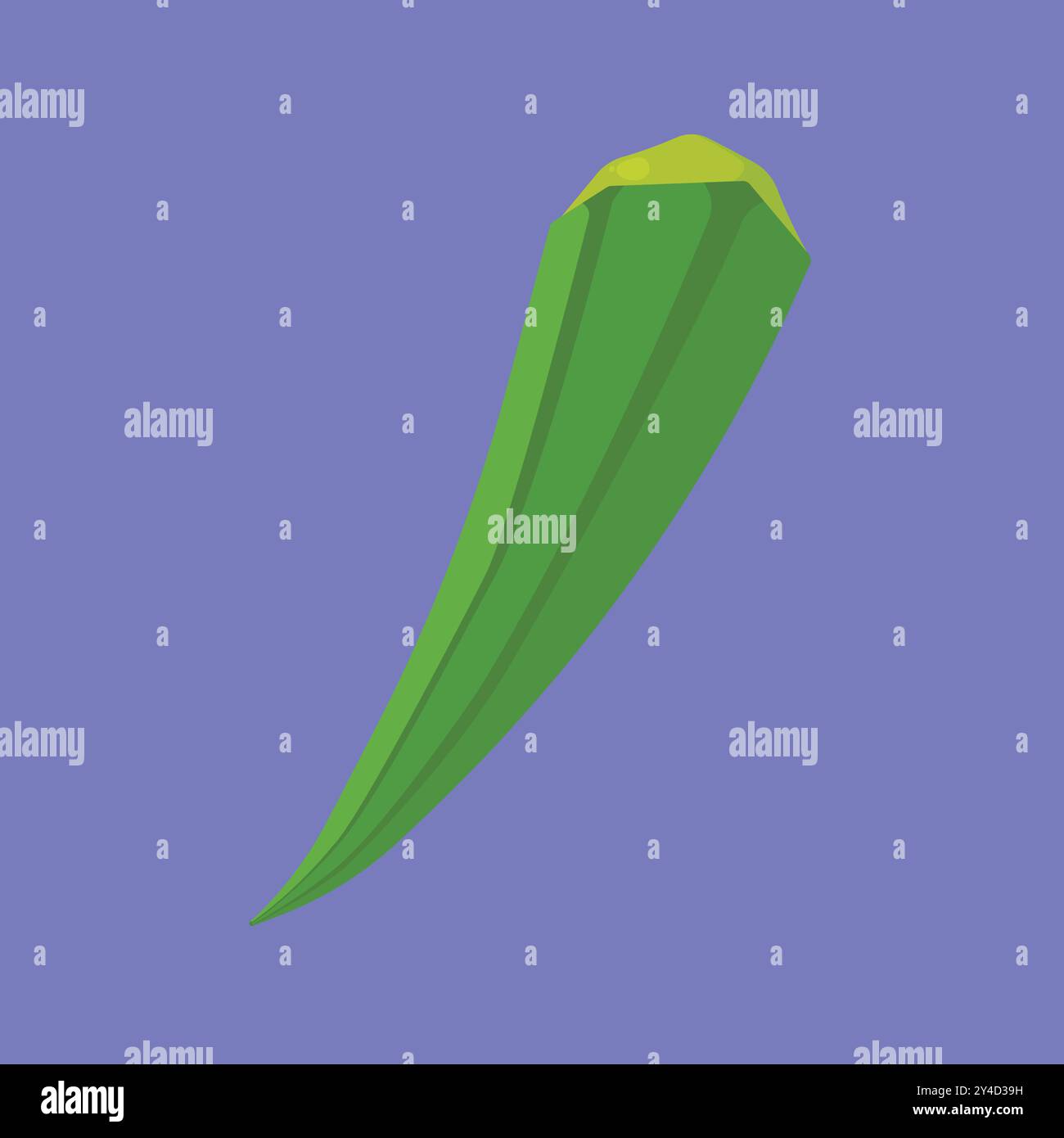 Okra plant flower Stock Vector Images - Alamy