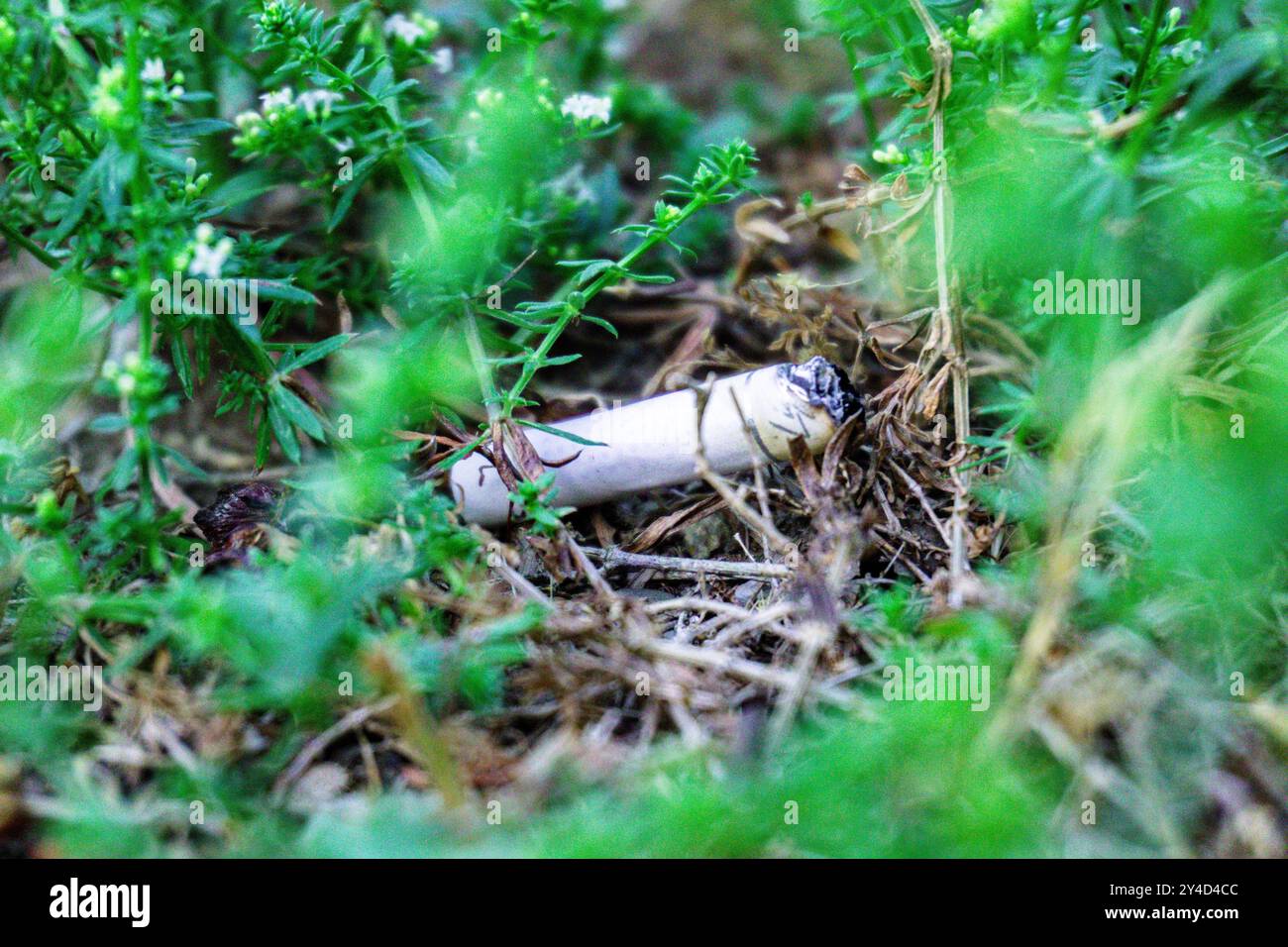 Unhealthy environment hi-res stock photography and images - Alamy