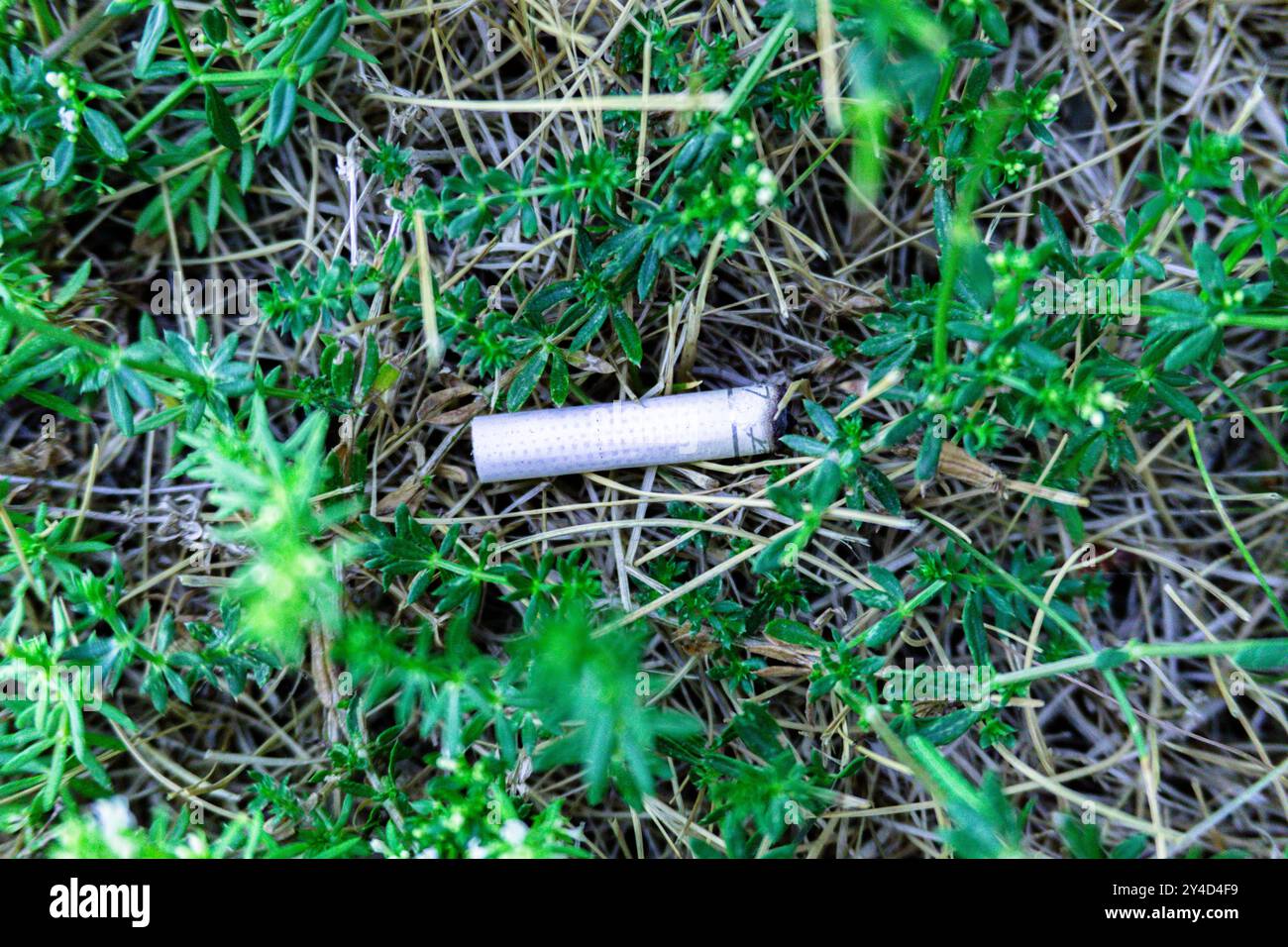 Unhealthy environment hi-res stock photography and images - Alamy