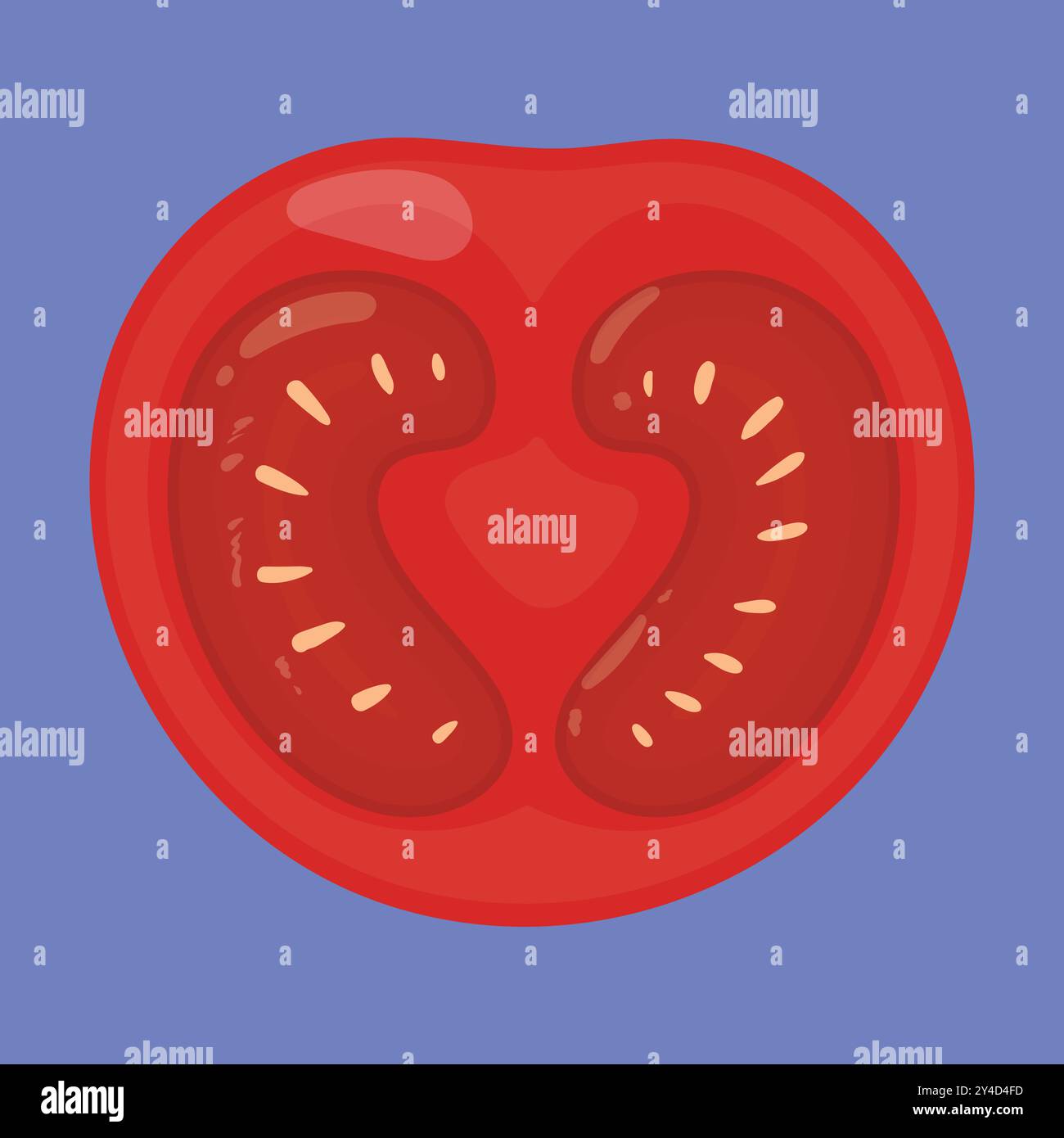 Half Cut Tomato icon vector. Half Tomato vegetable icon vector. half ...