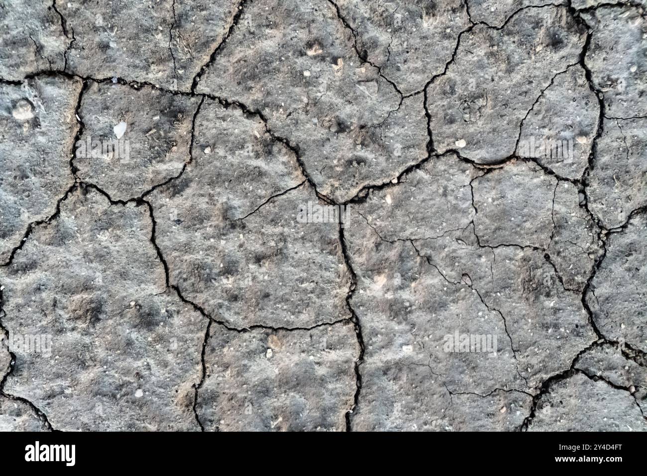 Dry Cracked Soil Stock Photo - Alamy
