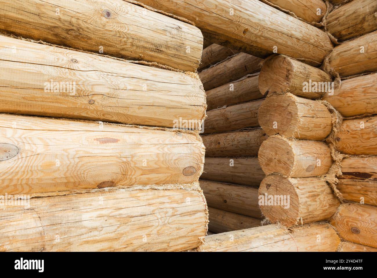 An empty doorway of a new wooden house made of uncolored natural pine ...