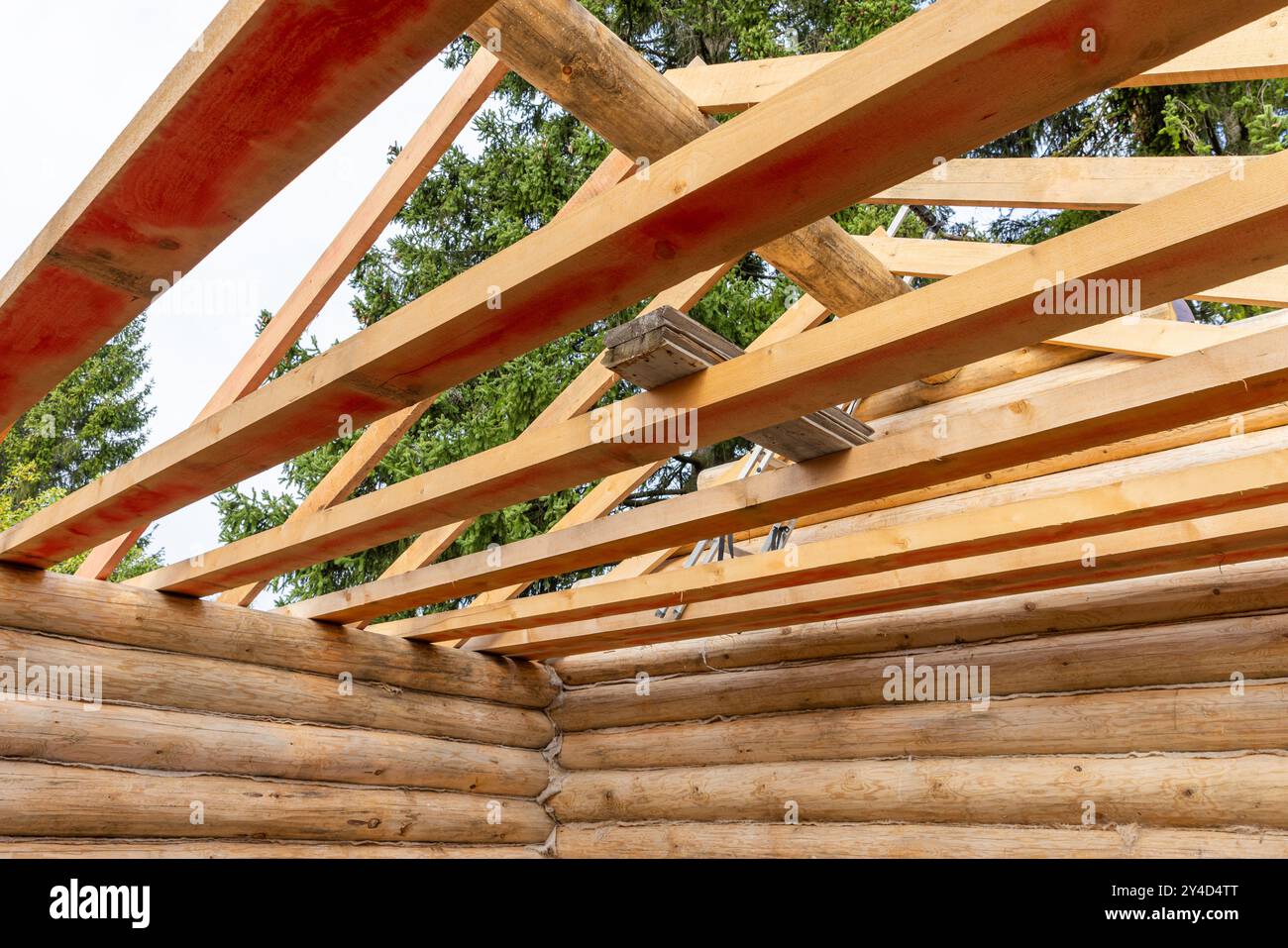 Log house is under construction. New wooden house without roof is made ...