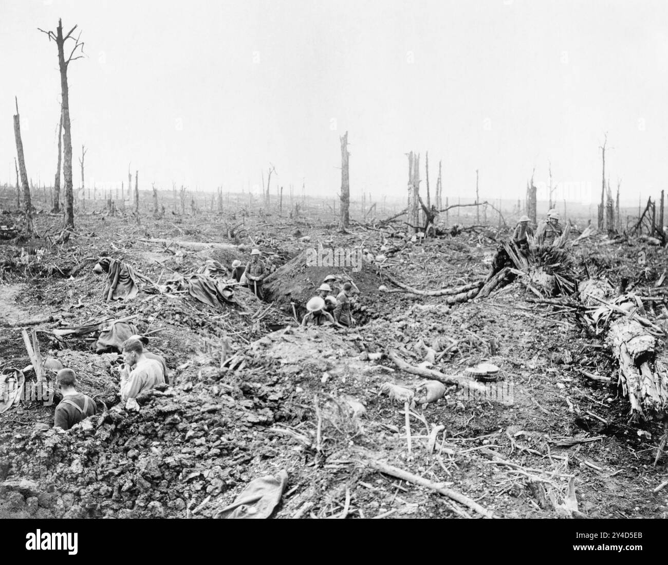BATTLE OF THE SOMME July-November 1916. British soldiers digging a trench through Delville Wood ...