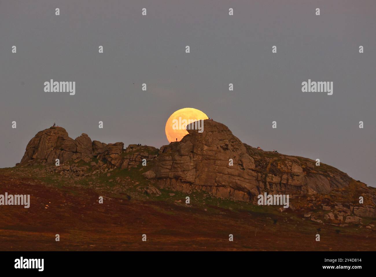 Dartmoor, Devon, UK. 17th Sep, 2024. Full Harvest Supermoon shines ...