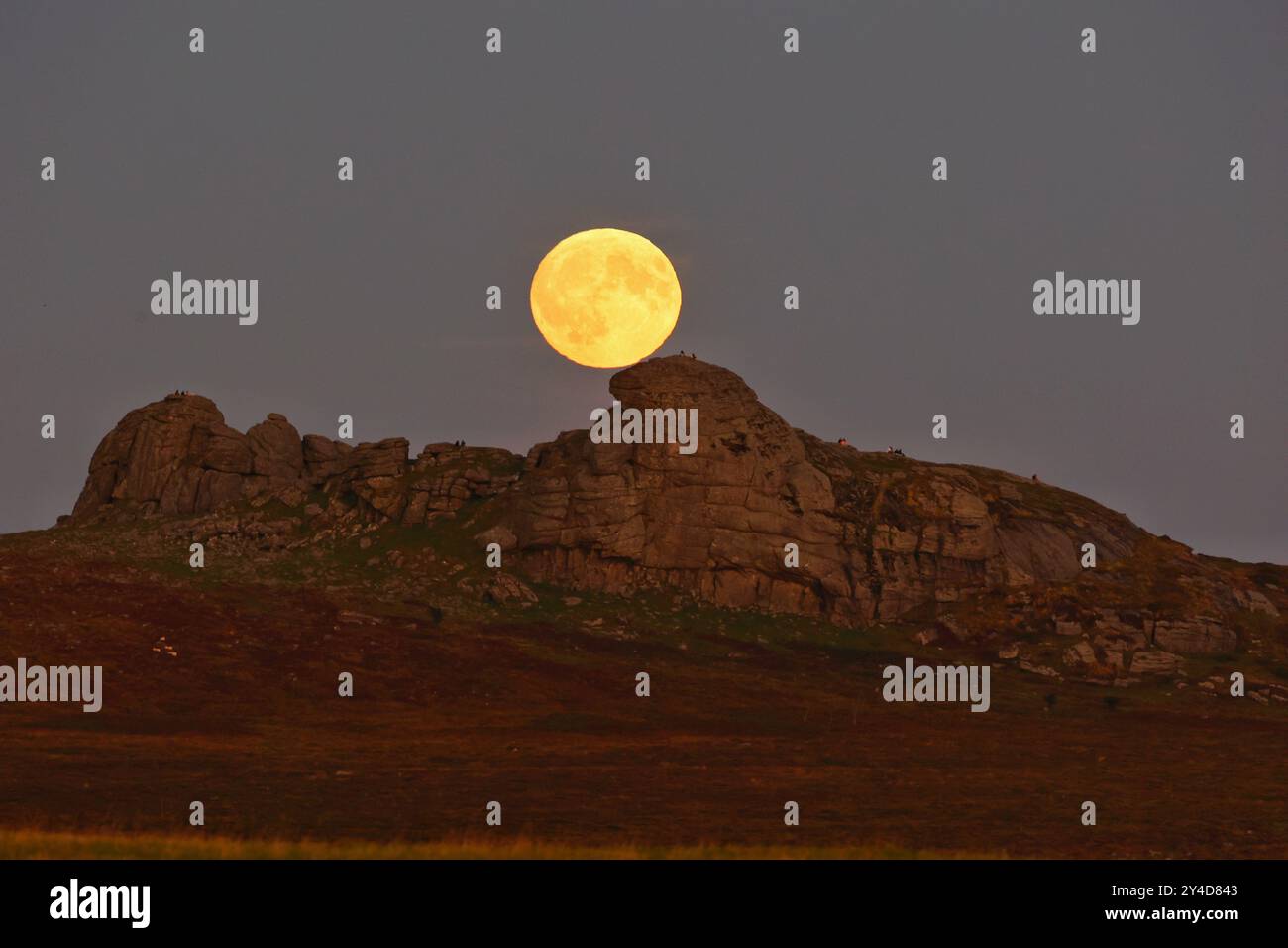 Dartmoor, Devon, UK. 17th Sep, 2024. Full Harvest Supermoon shines ...