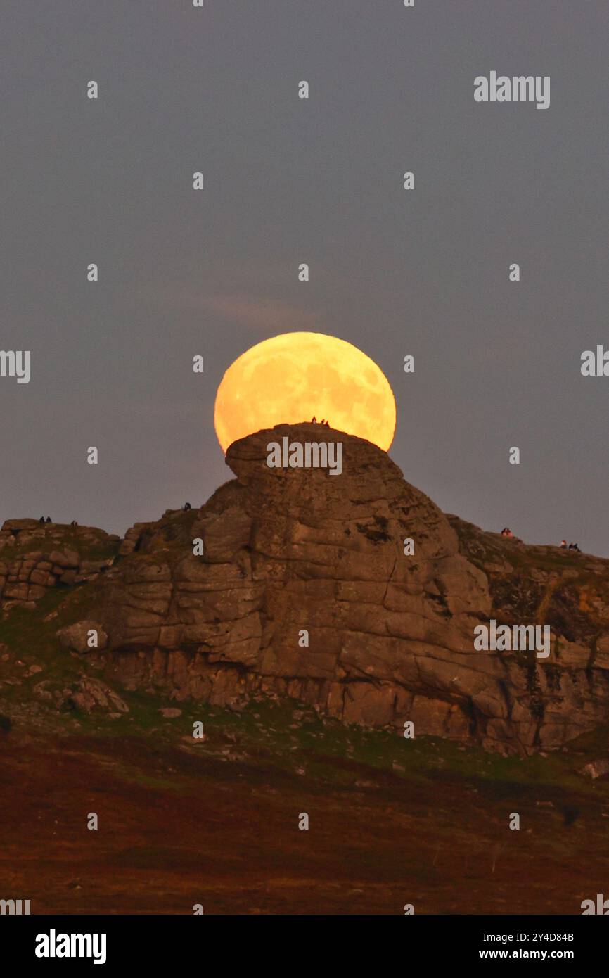 Dartmoor, Devon, UK. 17th Sep, 2024. Full Harvest Supermoon shines ...