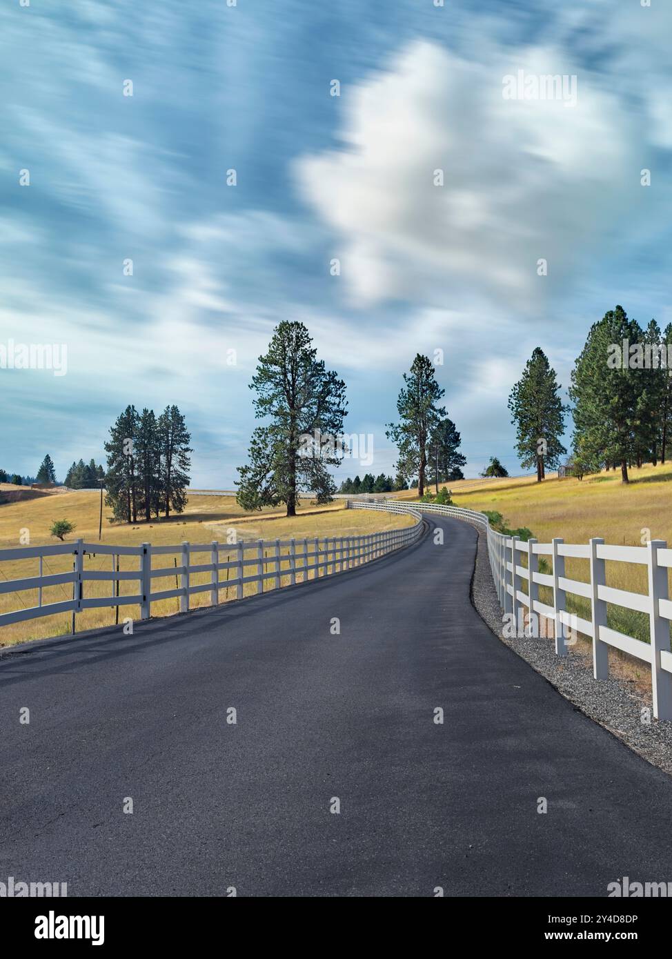 Looking down the fenced lane in the countryside in eastern Washington ...