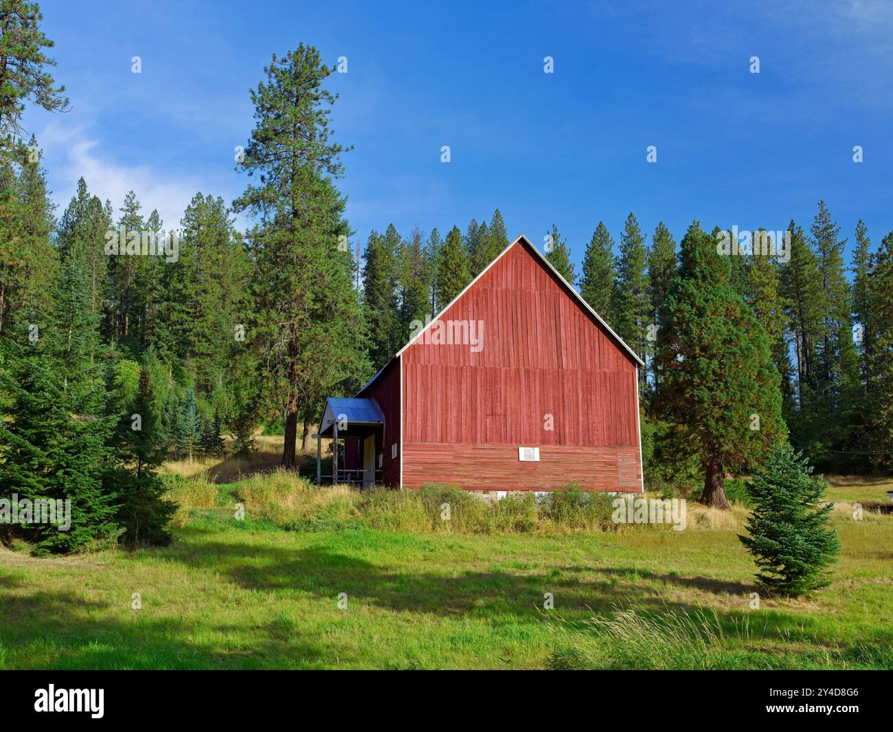 A bright red barn stands in a small field by a forest in north Idaho ...