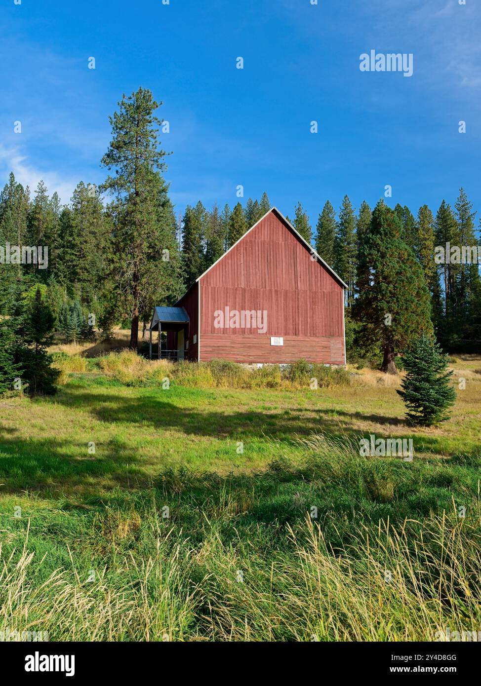 A bright red barn stands in a small field by a forest in north Idaho ...